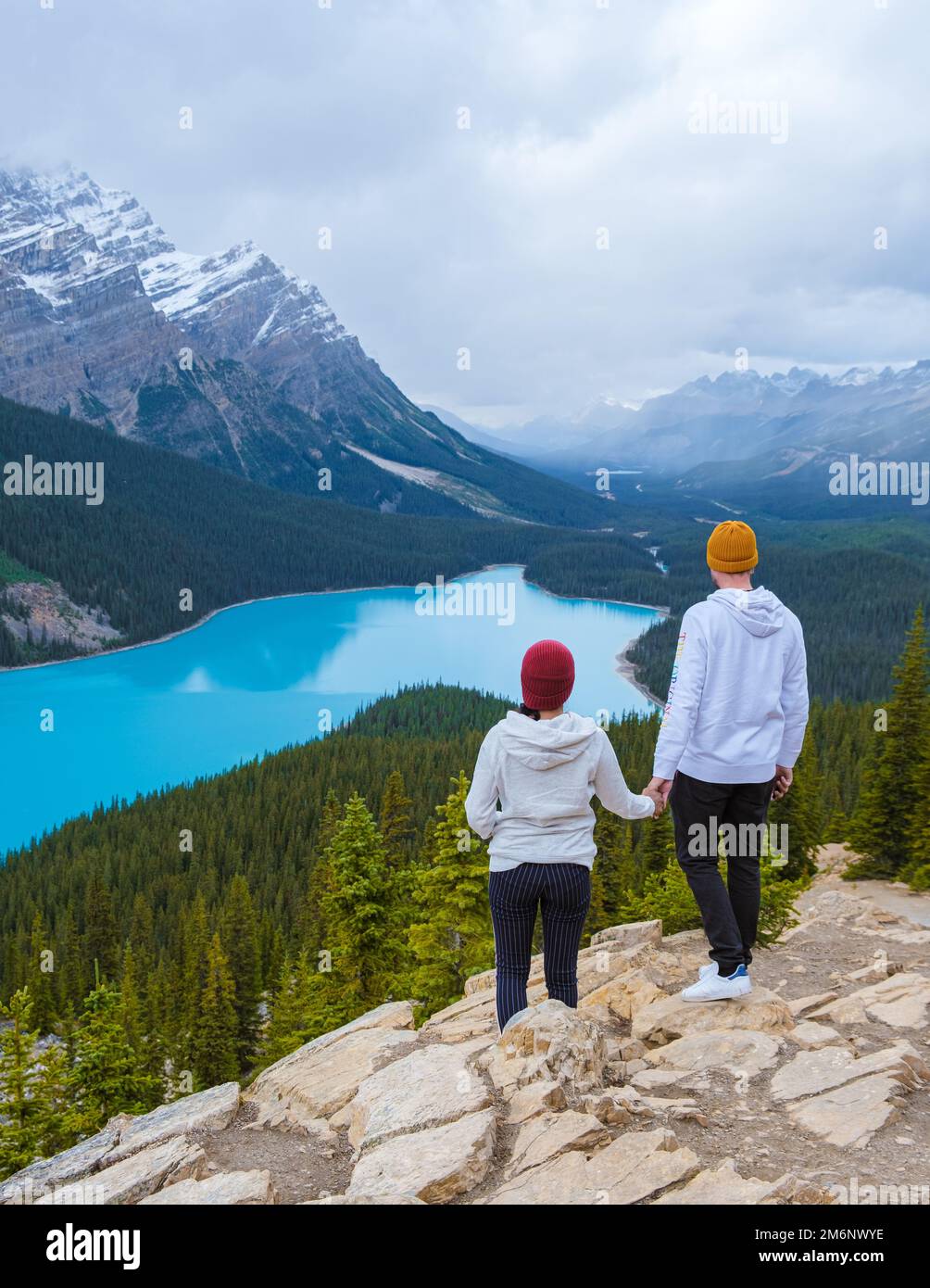 Lake Peyto in Banff National Park, Canada. Mountain Lake as a fox head ...