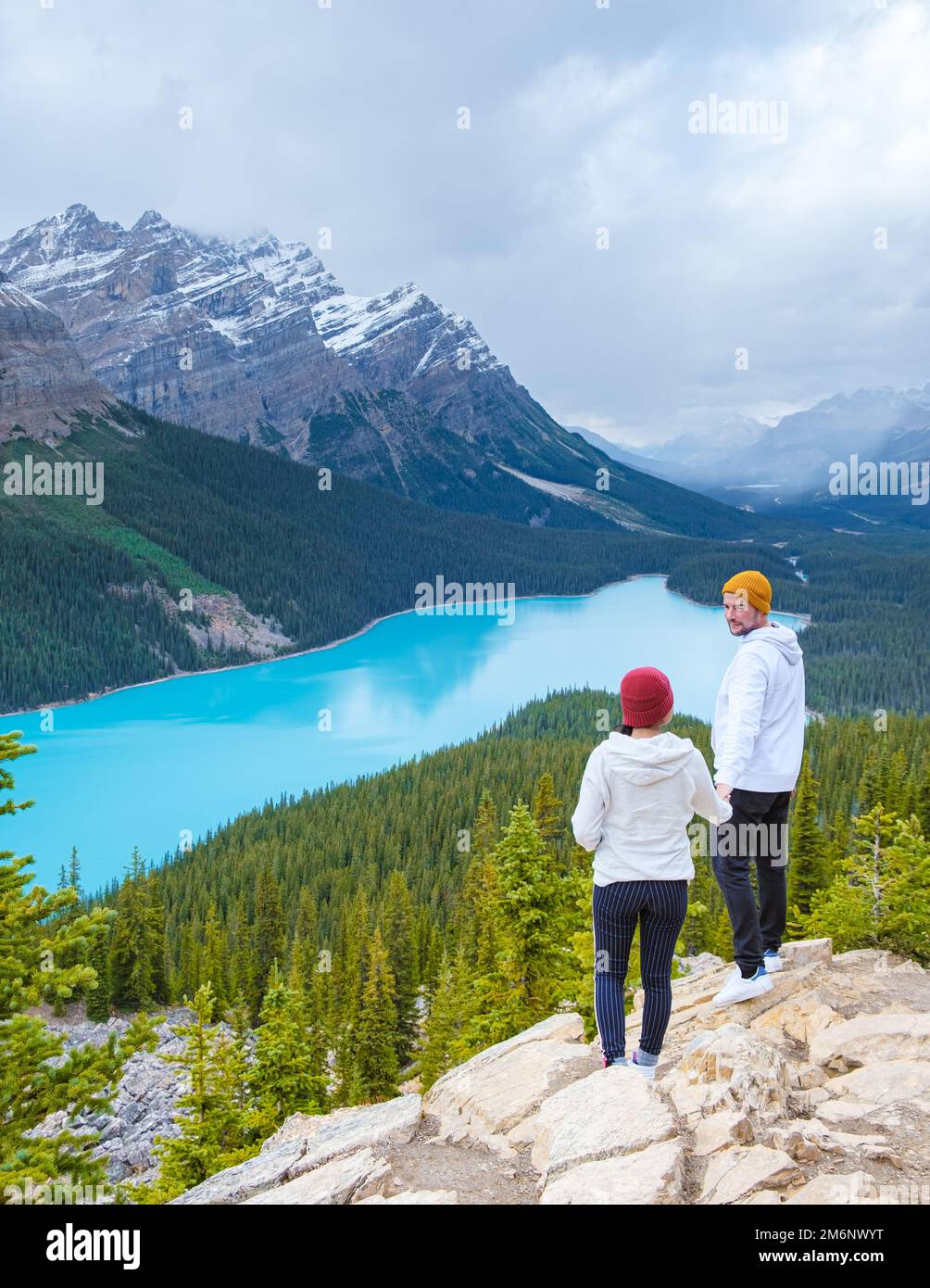 Lake Peyto in Banff National Park, Canada. Mountain Lake as a fox head ...