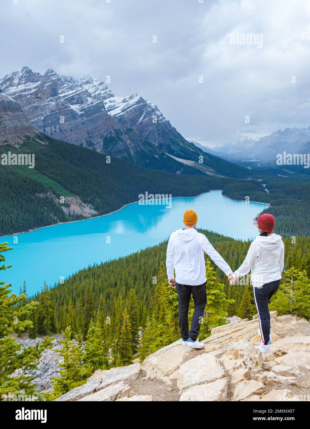 Lake Peyto in Banff National Park, Canada. Mountain Lake as a fox head ...