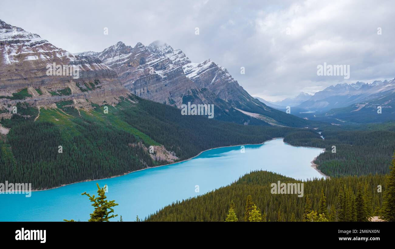 Lake Peyto in Banff National Park, Canada. Mountain Lake as a fox head ...