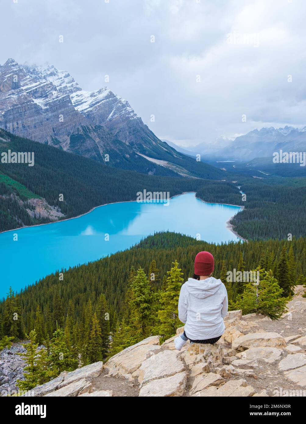 Lake Peyto in Banff National Park, Canada. Mountain Lake as a fox head ...