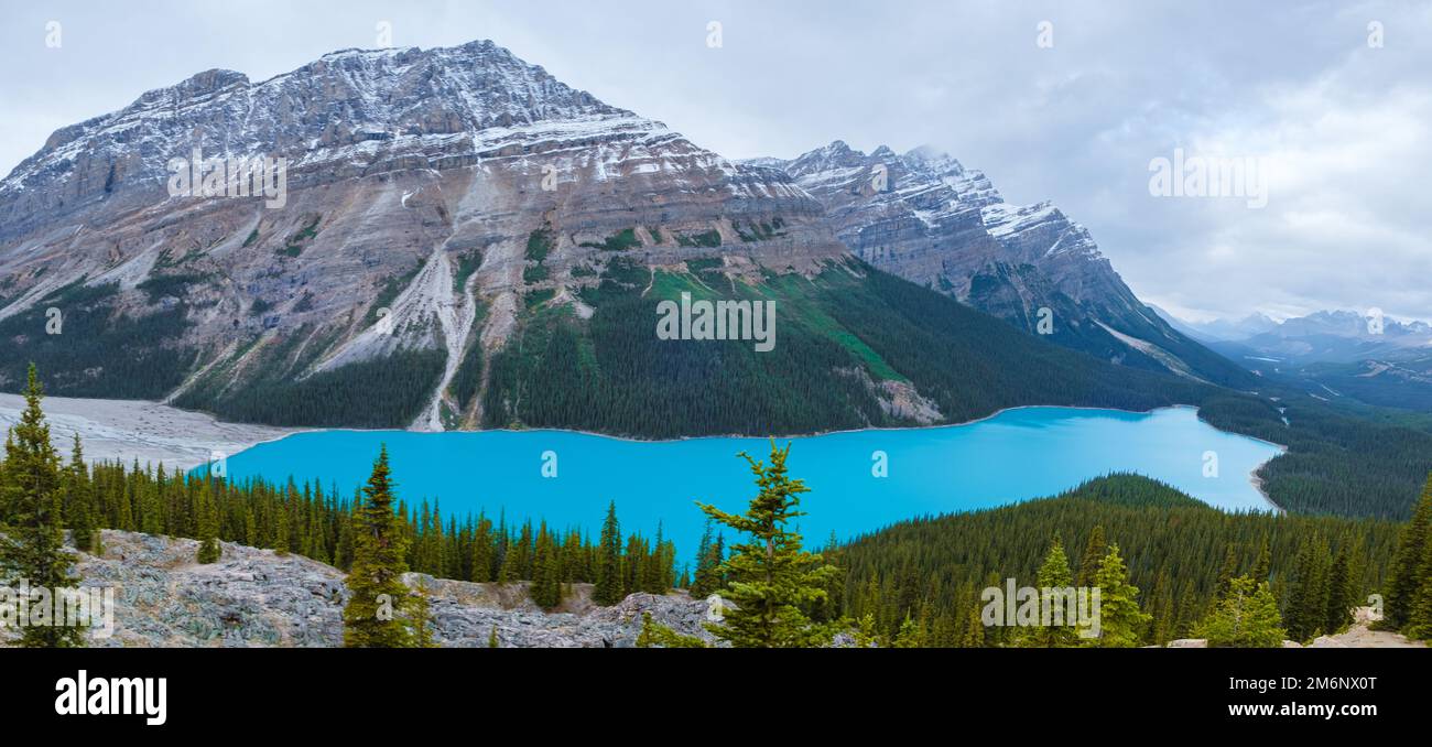 Lake Peyto in Banff National Park, Canada. Mountain Lake as a fox head ...