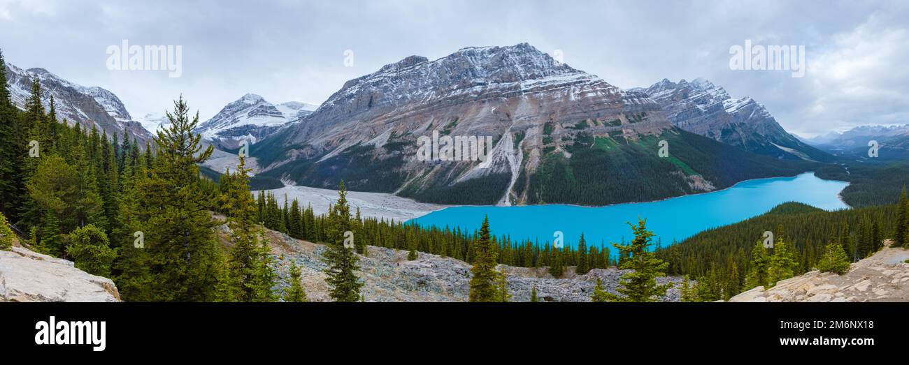 Lake Peyto in Banff National Park, Canada. Mountain Lake as a fox head ...