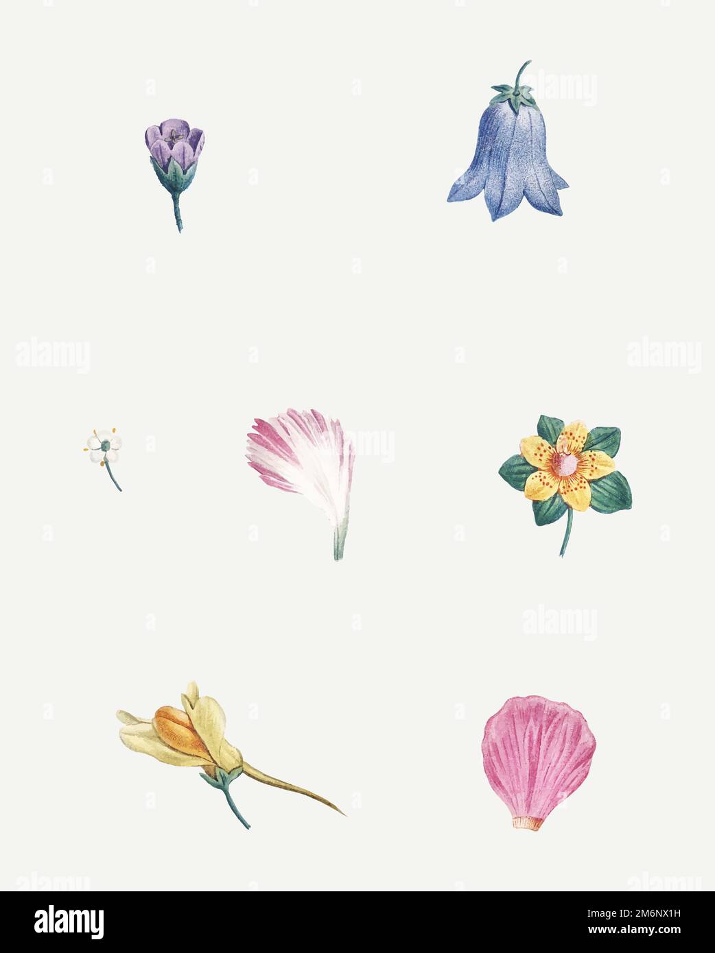 Vintage flowers set vector Stock Vector Image & Art - Alamy