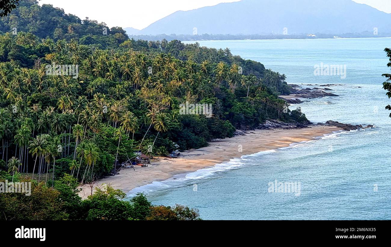 An aerial view of a sandy forested beach Stock Photo - Alamy