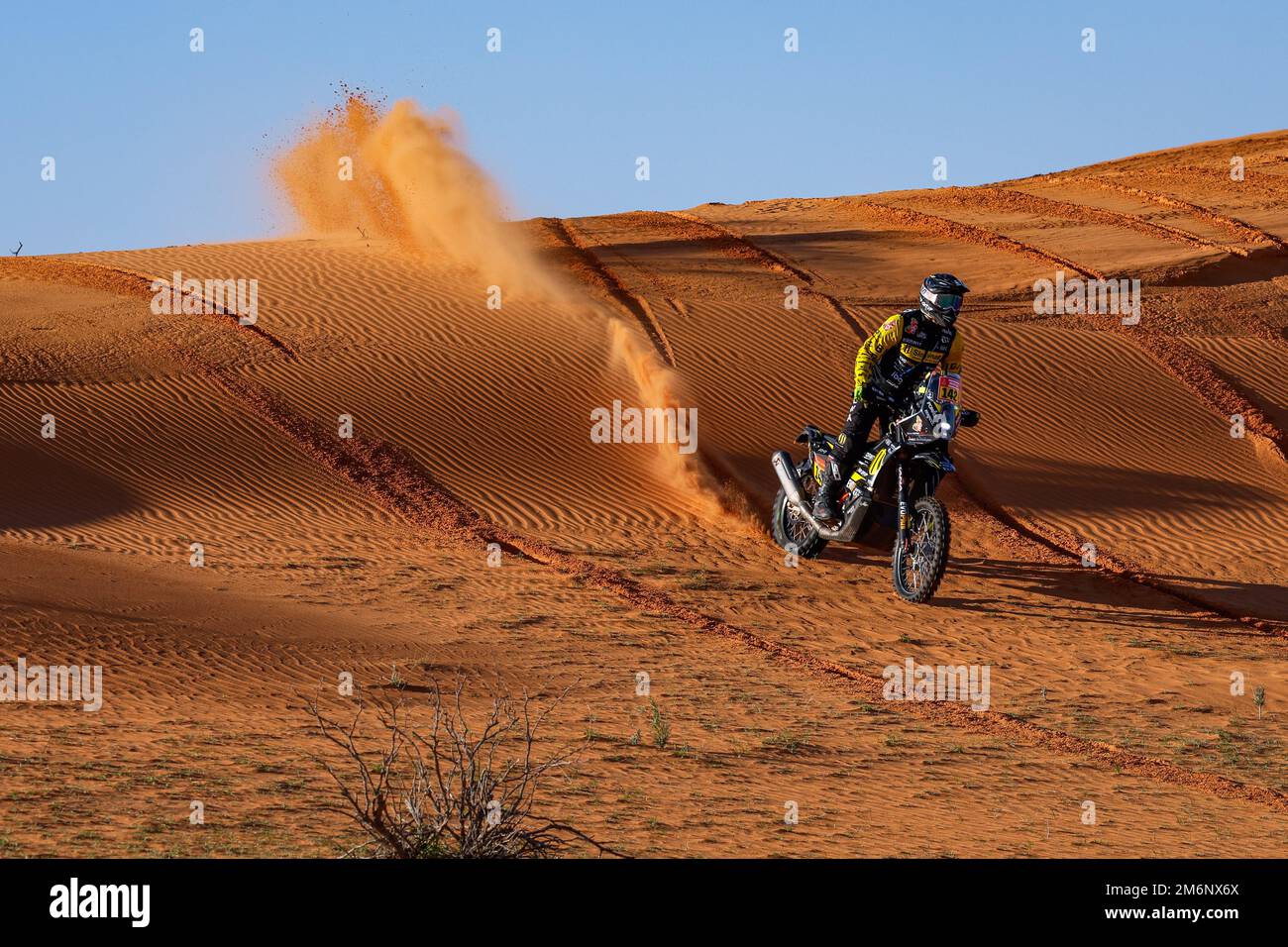 142 SVITKO Stevan (svk), Slovnaft Rally Team, KTM, Moto, action during ...