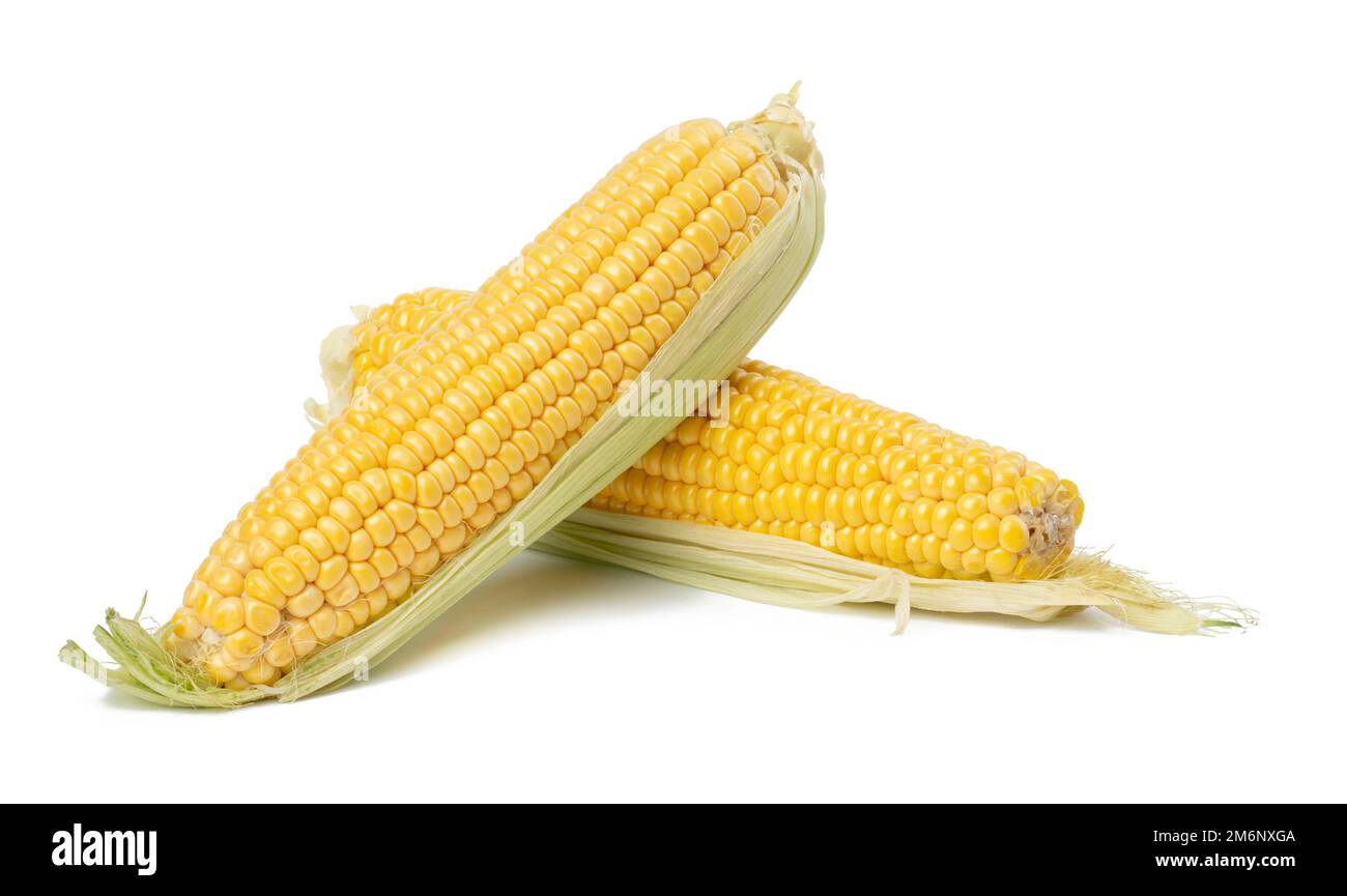 Stack of corn cobs with yellow grains isolated on white background ...