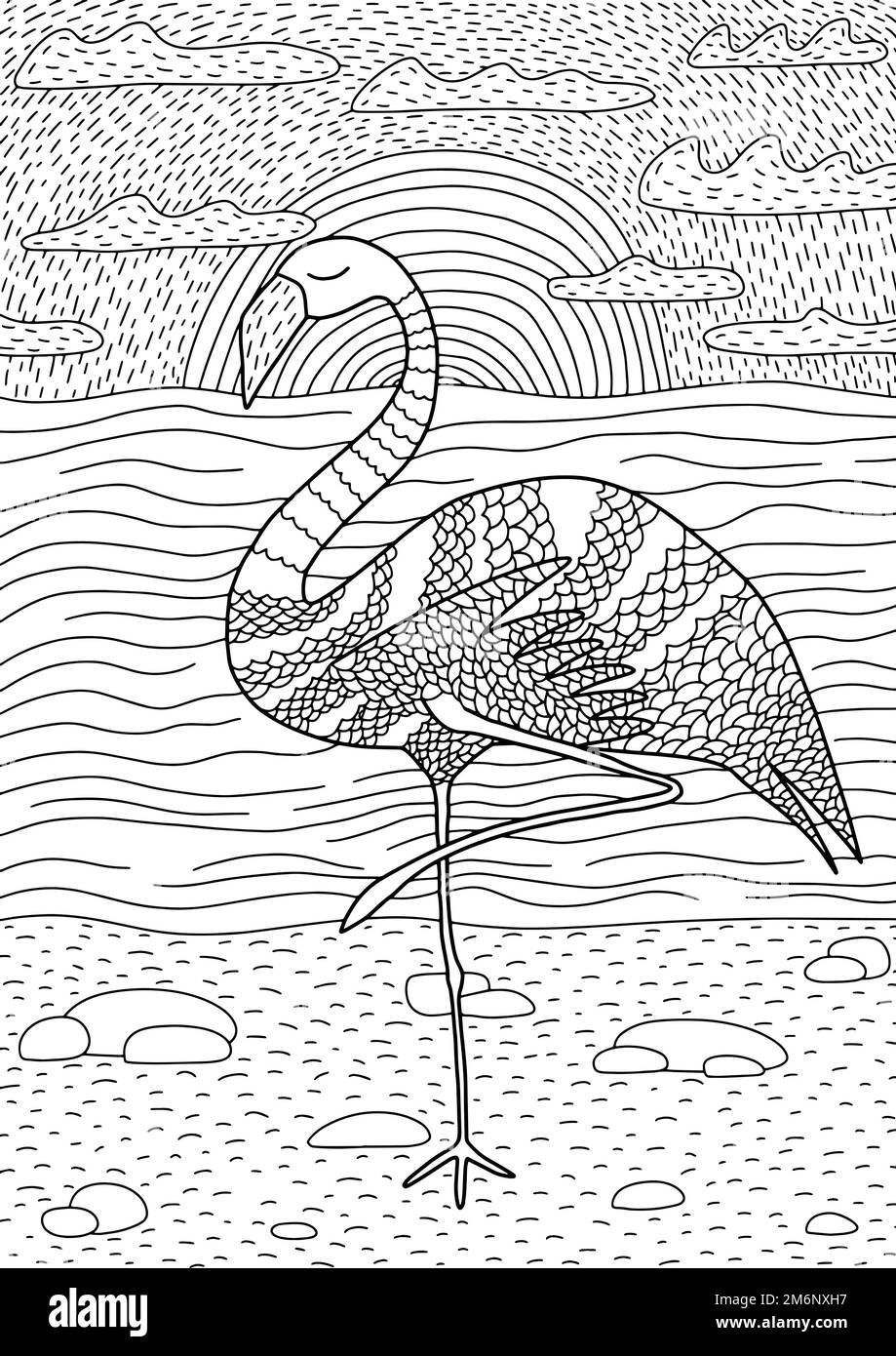 Flamingo vector coloring page Stock Vector Image & Art - Alamy