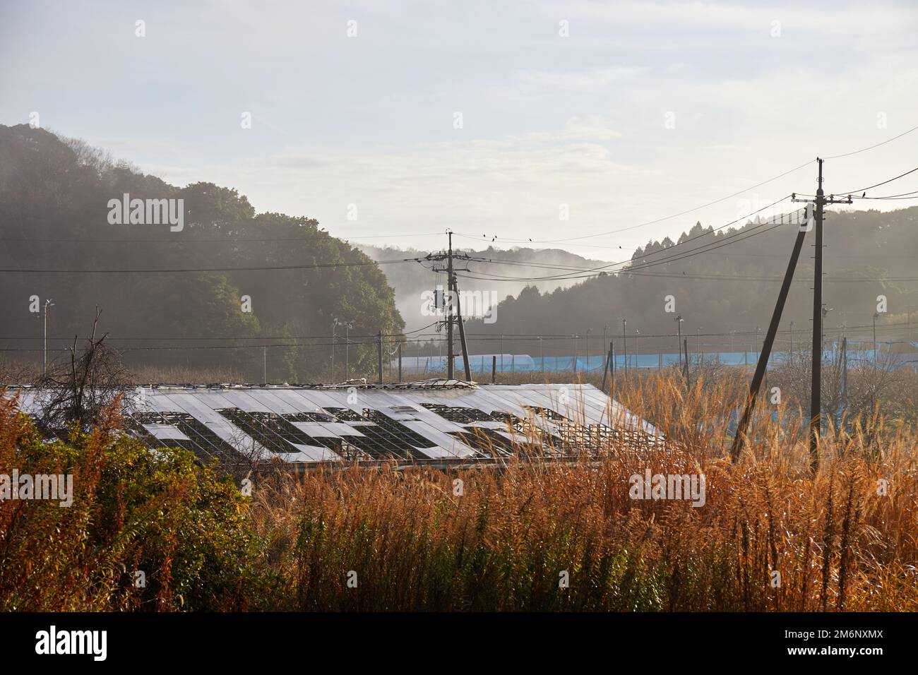 Old greenhouse in morning light; Izumo, Shimane Prefecture, Japan Stock ...