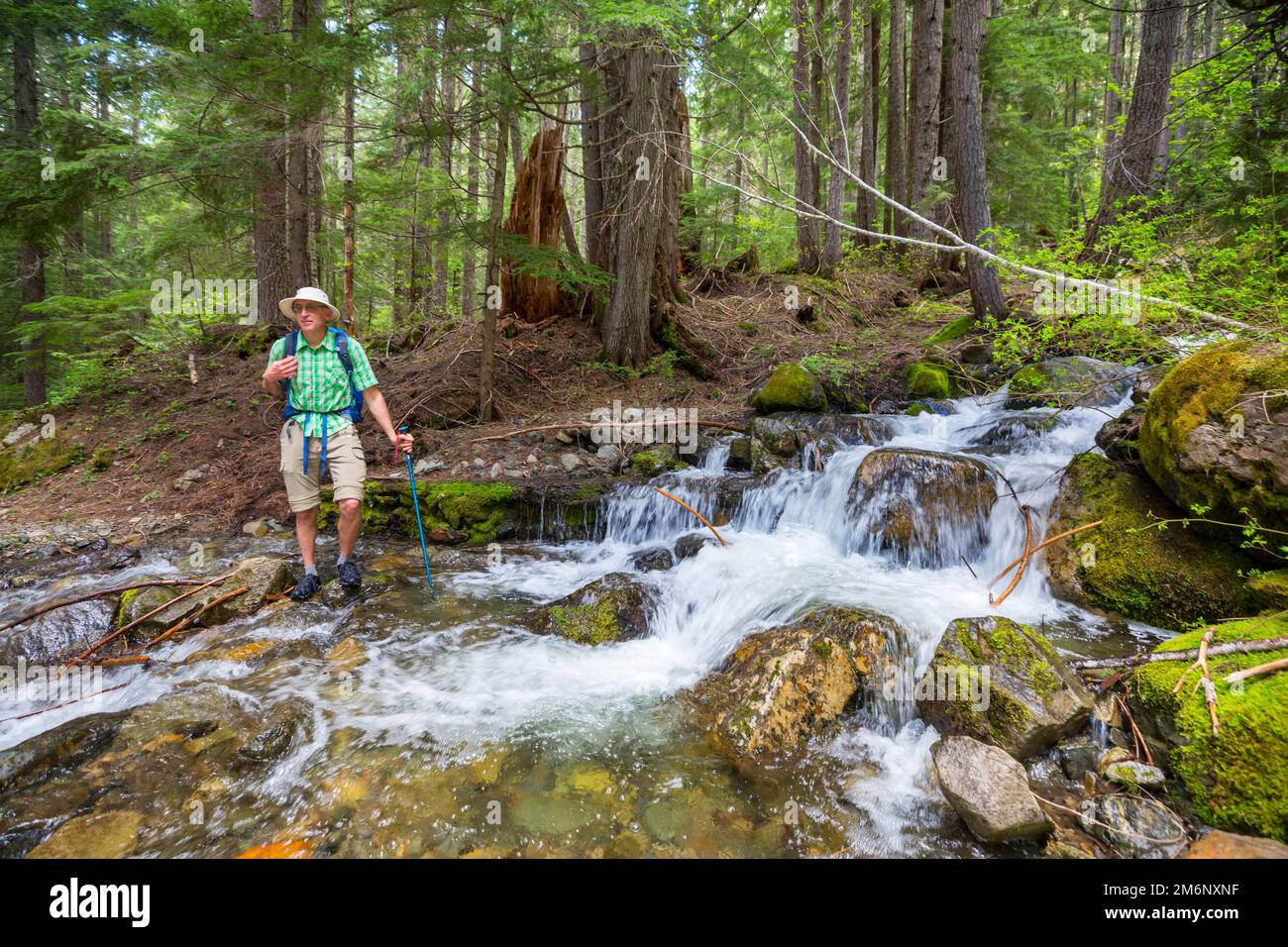 Hiker near waterfall Stock Photo - Alamy