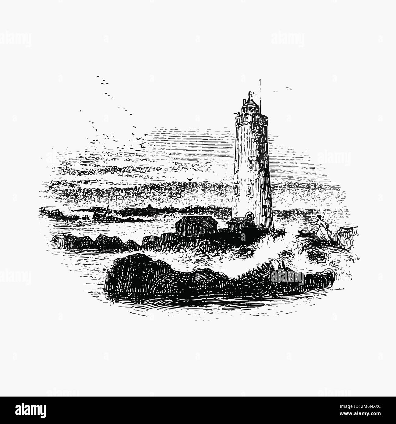 Lighthouse in Farne Islands illustration vector Stock Vector Image & Art - Alamy