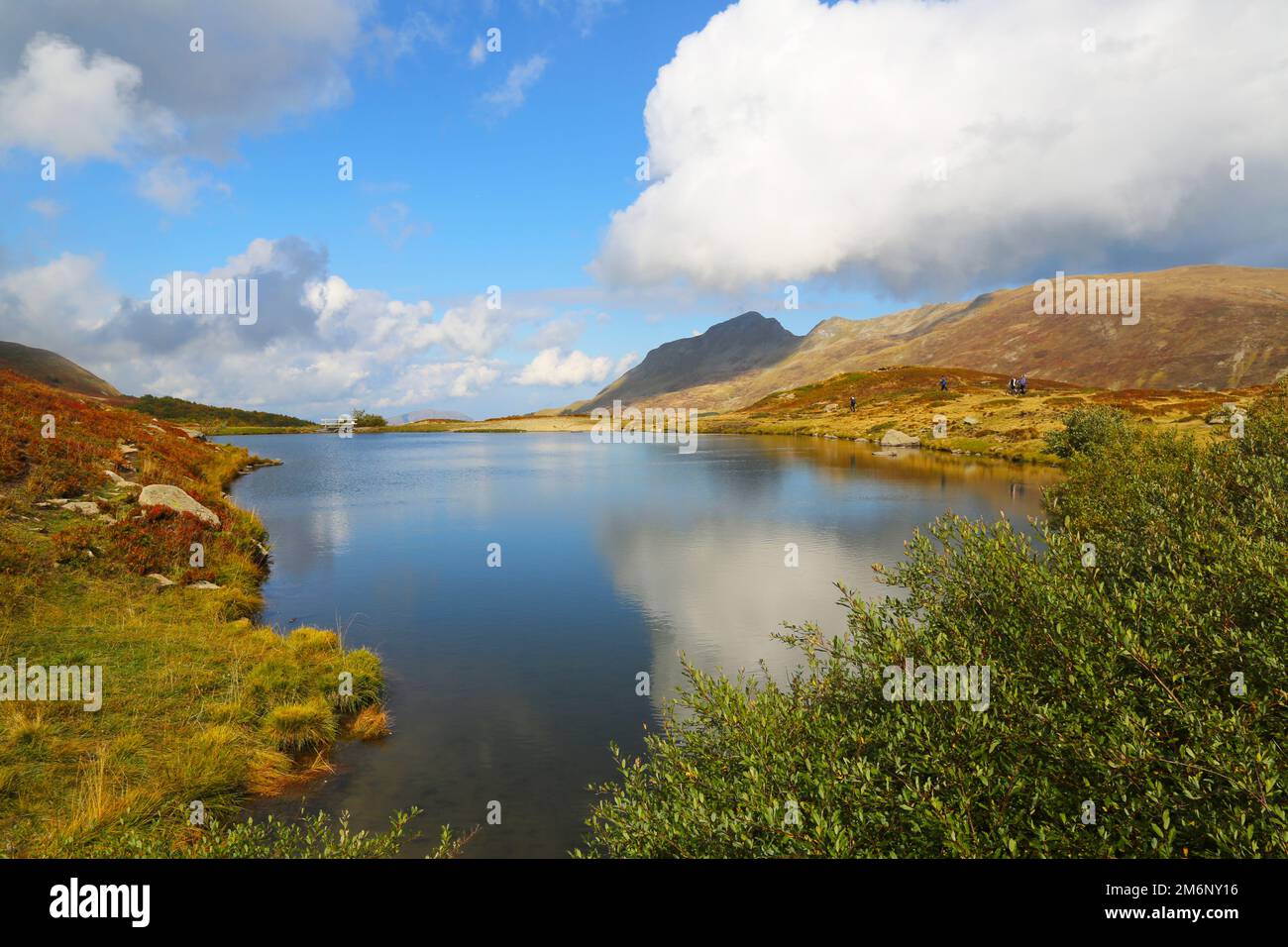 Tuscan-Emilian Apennines landscape with autumn blueberry plants Stock ...