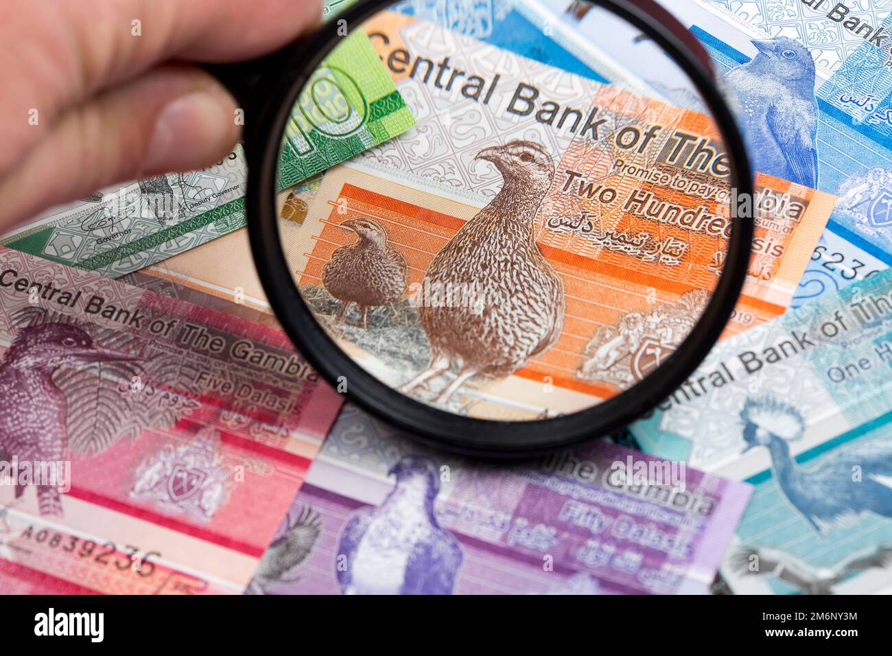 Dalasi hi-res stock photography and images - Alamy