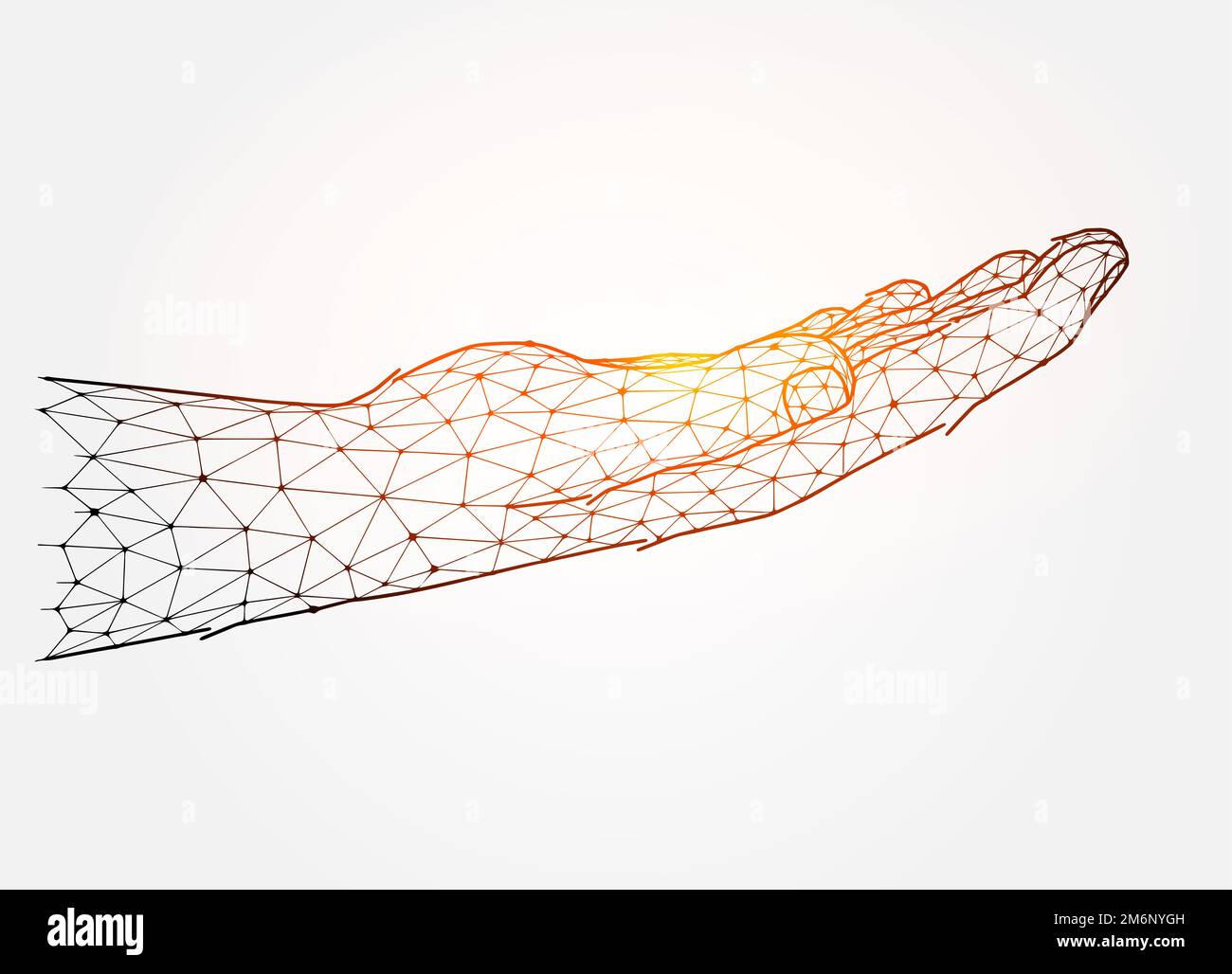 Hand Palm Vector Free Download