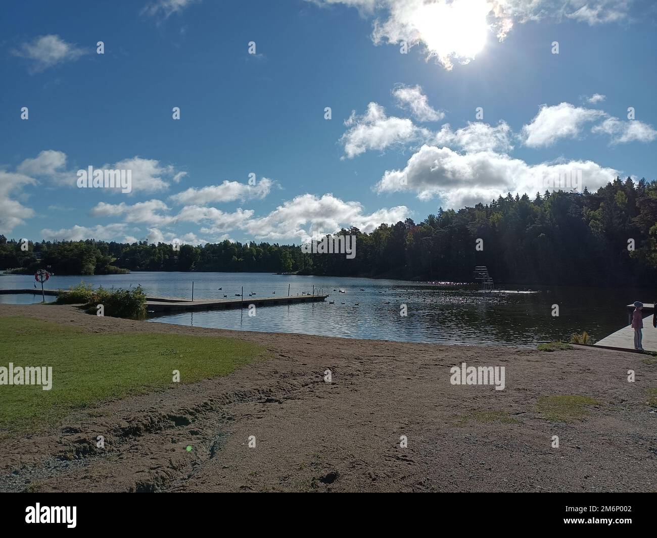 An aerial view of lake with dock surrounded by dense trees Stock Photo ...