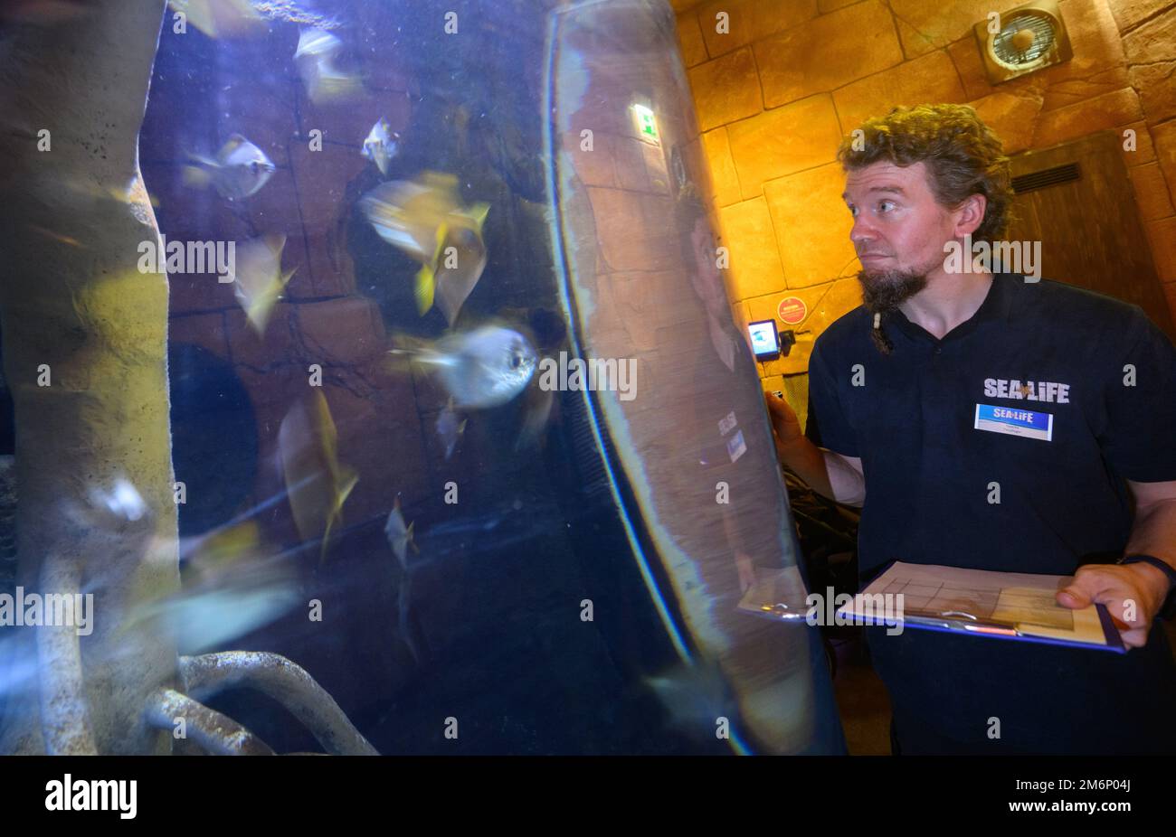 Hanover, Germany. 05th Jan, 2023. Animal keeper Sascha Thiel counts ...