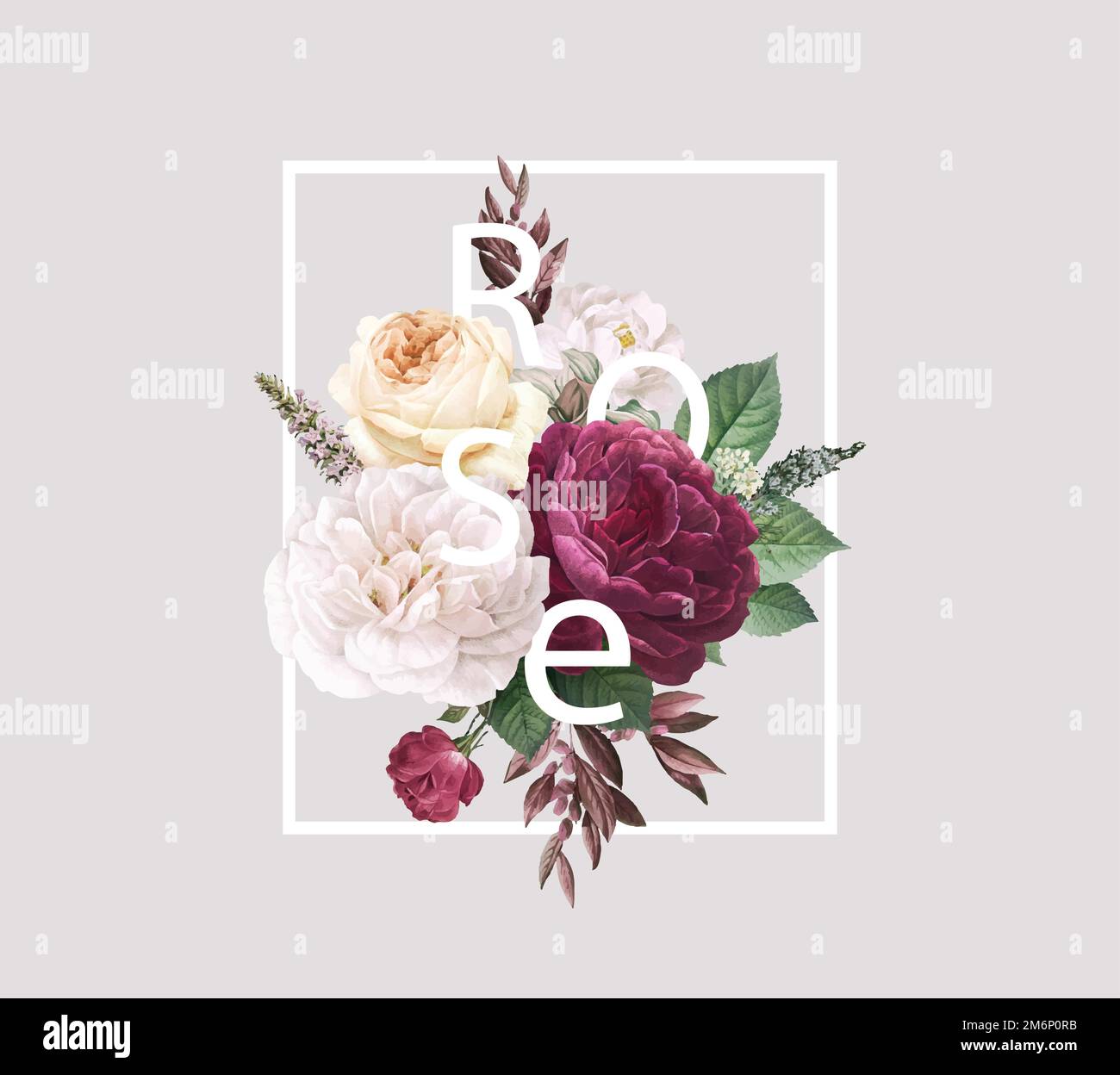 Vintage blooming roses design element vector Stock Vector Image & Art ...