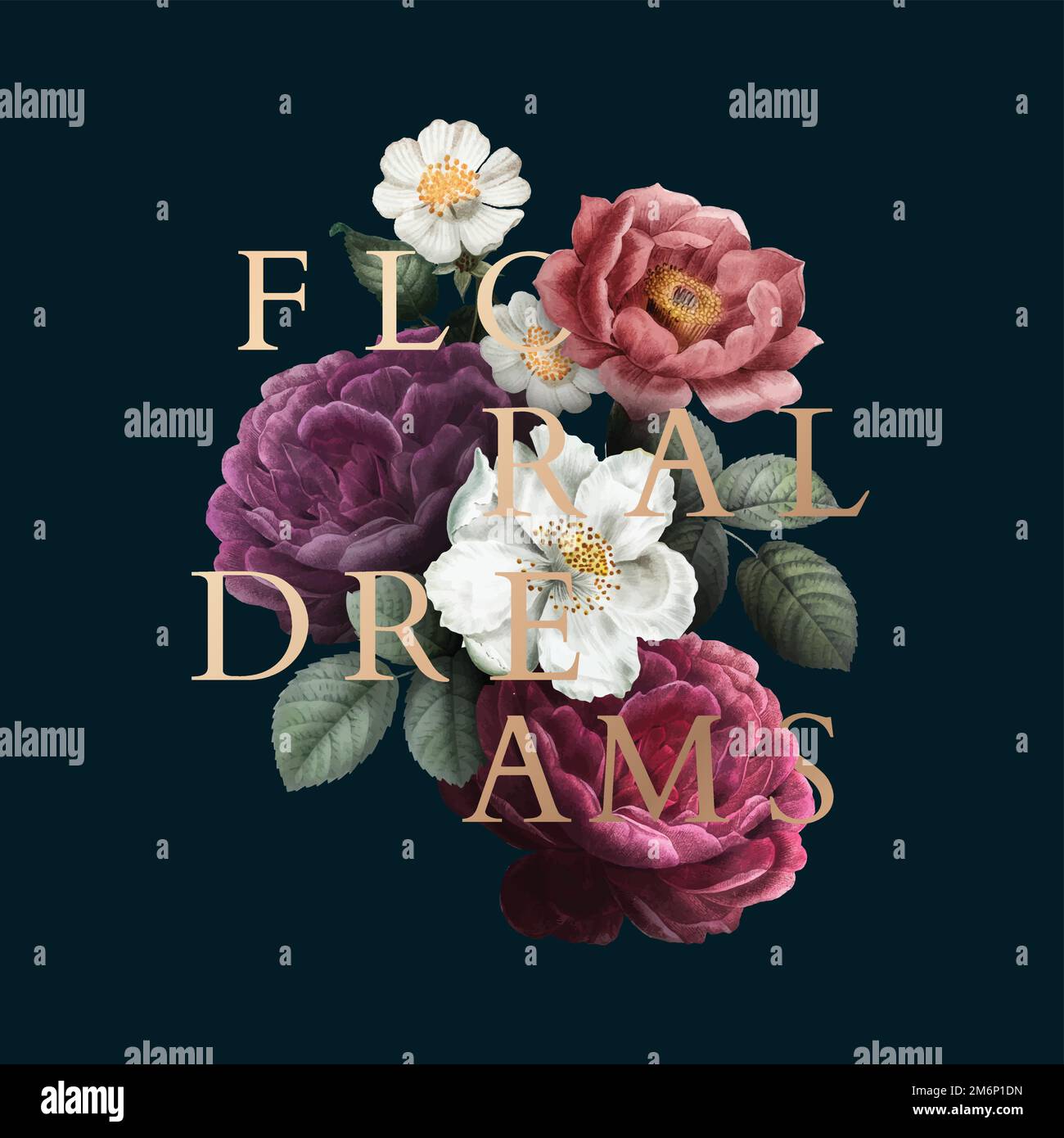 Romantic floral dreams rose drawing vector Stock Vector Image & Art - Alamy