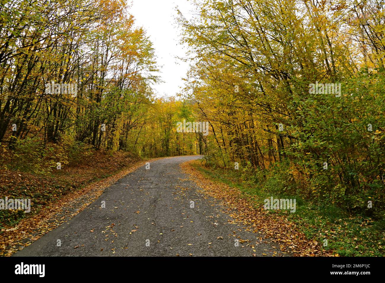 landscape of the Tuscan-Emilian Apennines with road and autumn foliage ...