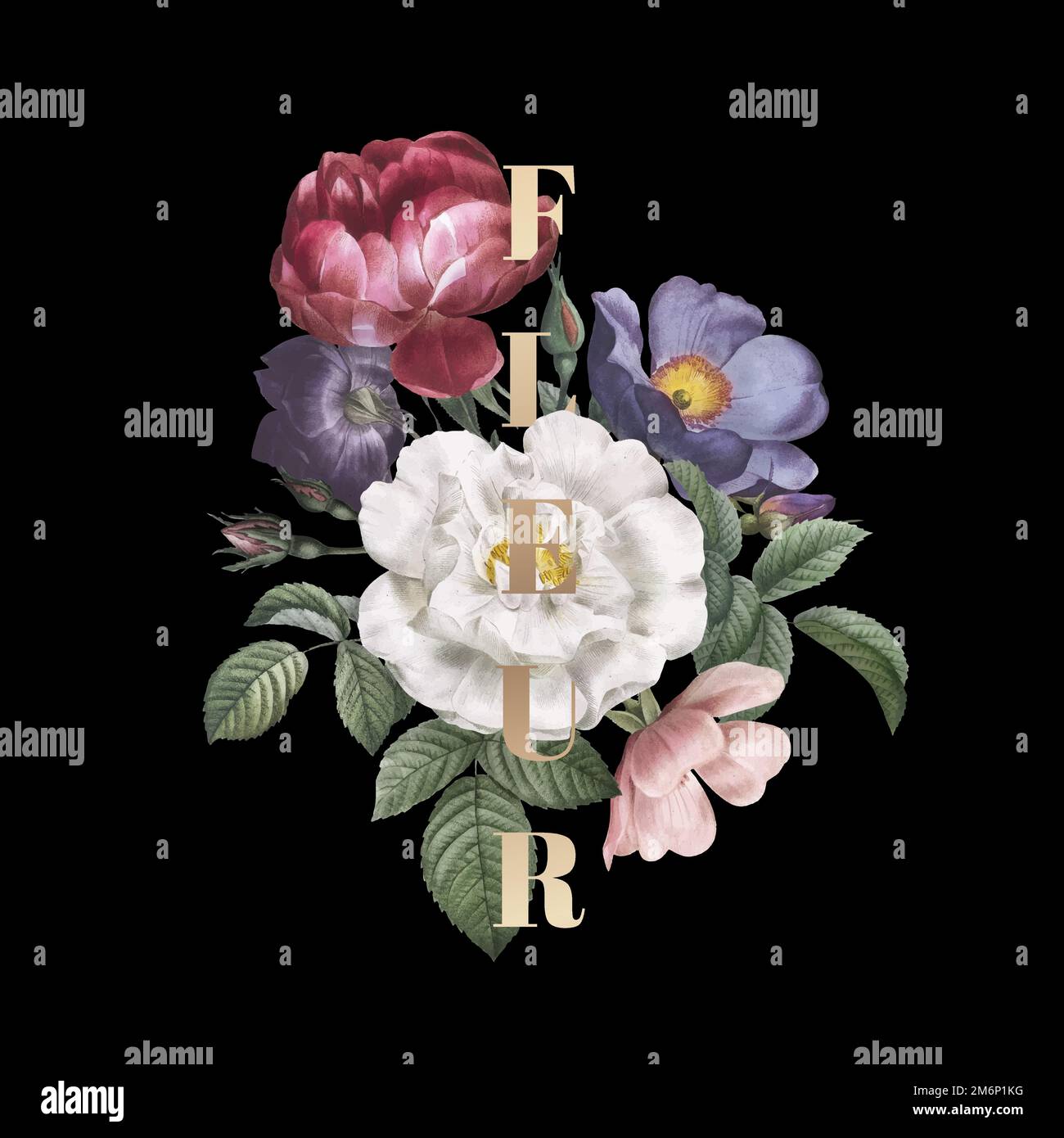 Floral word fleur typography design vector Stock Vector Image & Art - Alamy