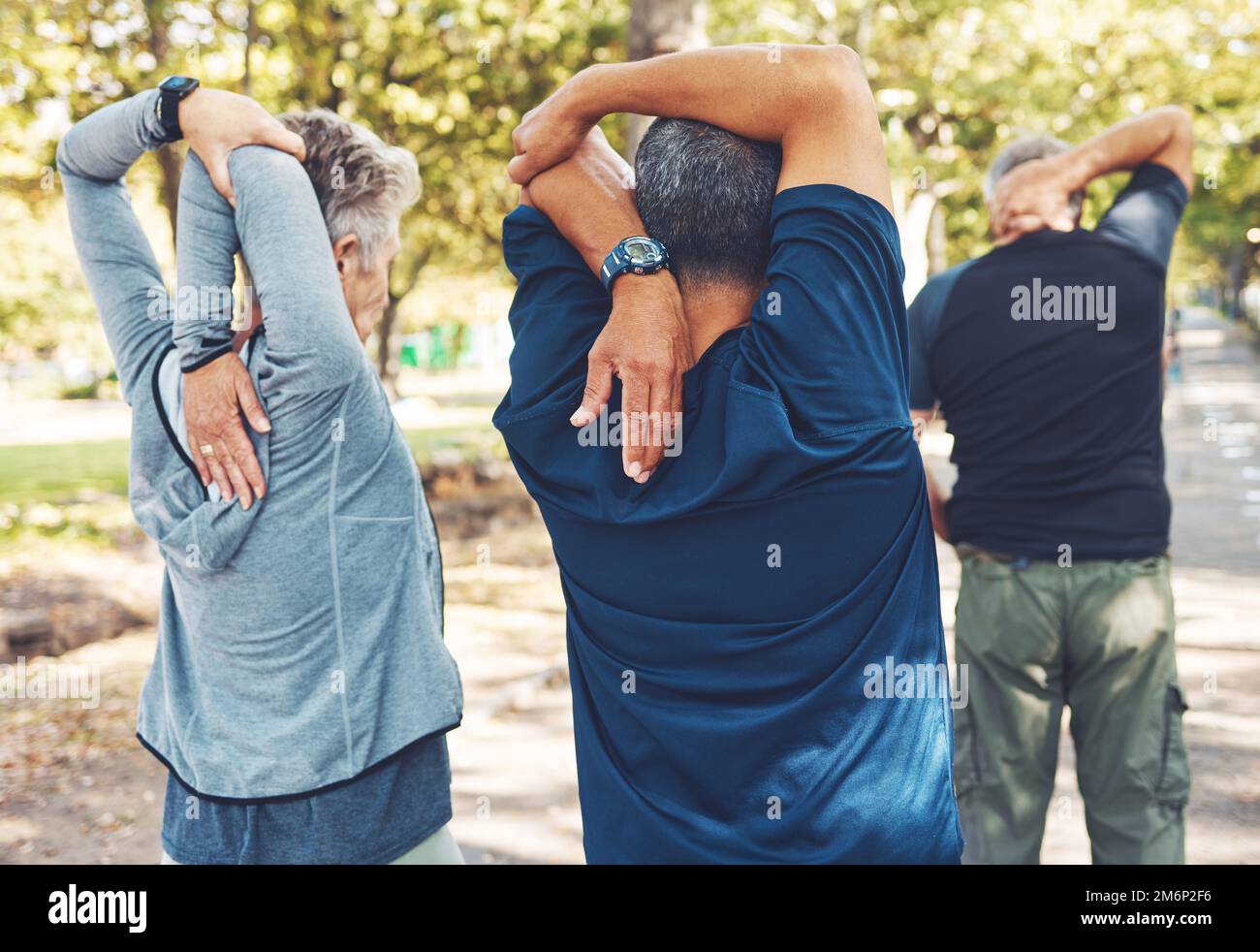 Fitness Nature And Senior People Doing Stretching Exercise Before