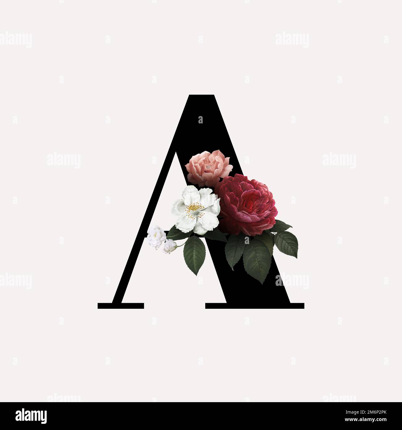 Classic and elegant floral alphabet font letter A vector Stock Vector ... Classic and elegant floral alphabet font letter A vector Stock Vector ...