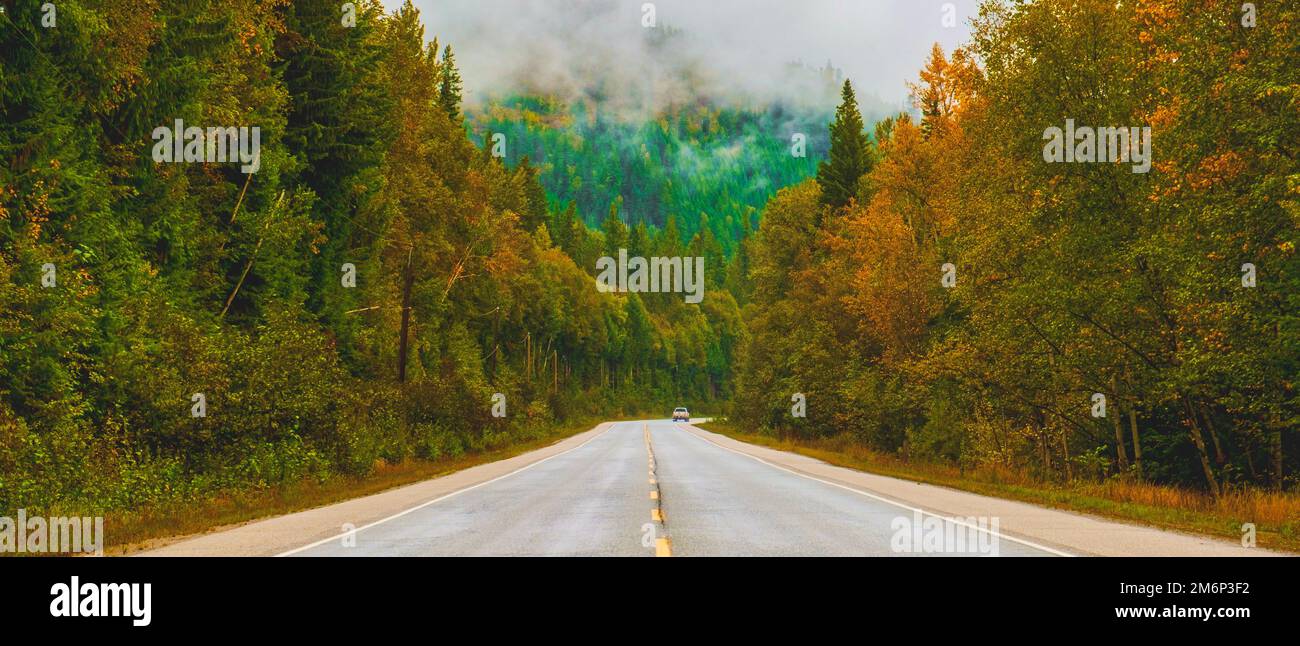 Road with orange autumn trees in Canada BC, beautiful trees during ...