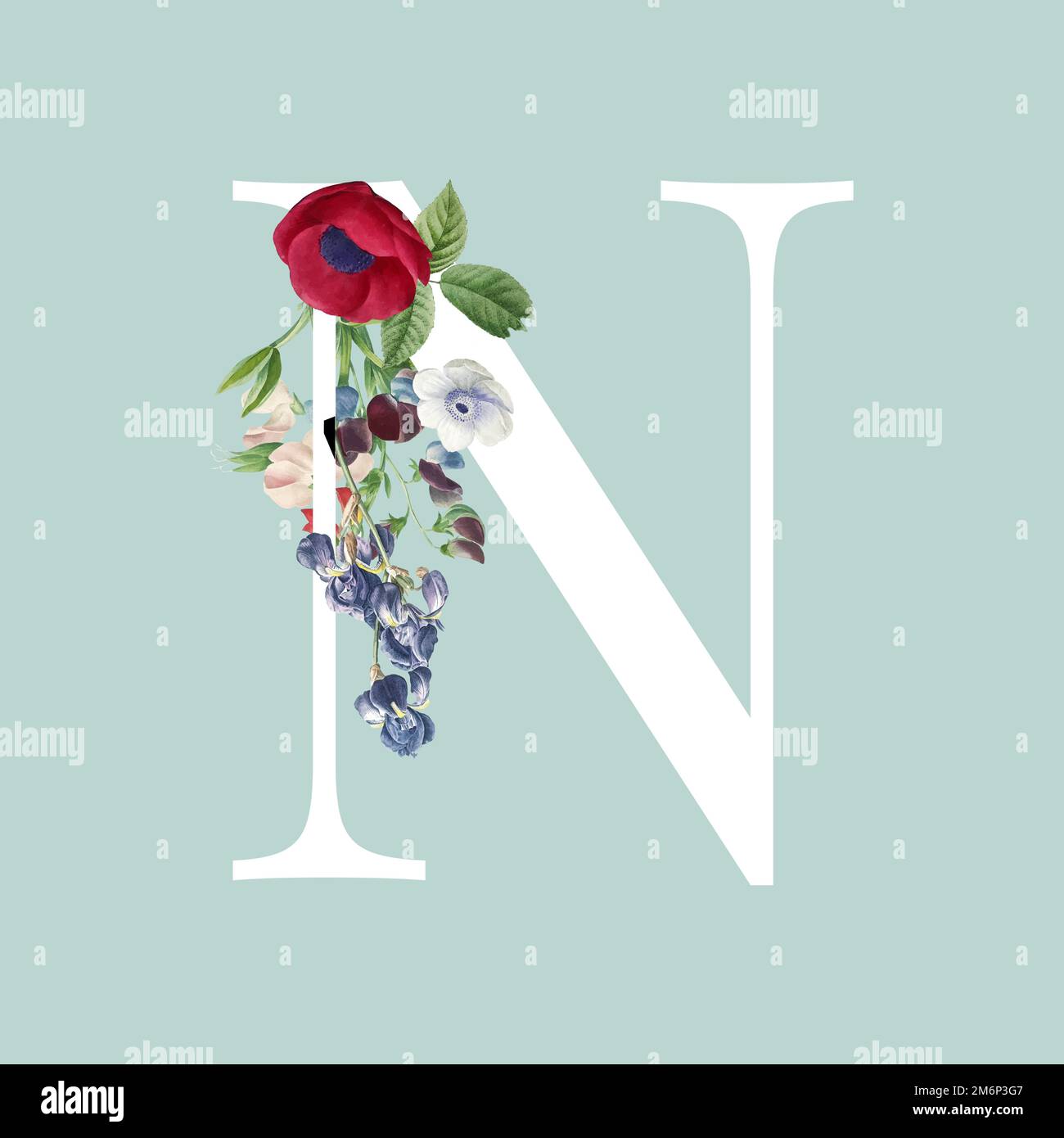 Capital n vector vectors hi-res stock photography and images - Alamy