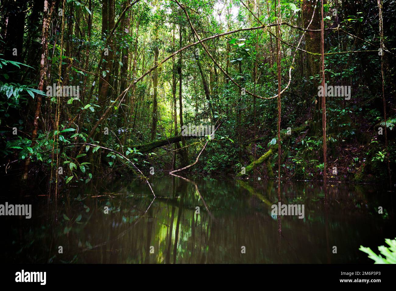 Mount Singsing, Tambunan Stock Photo - Alamy