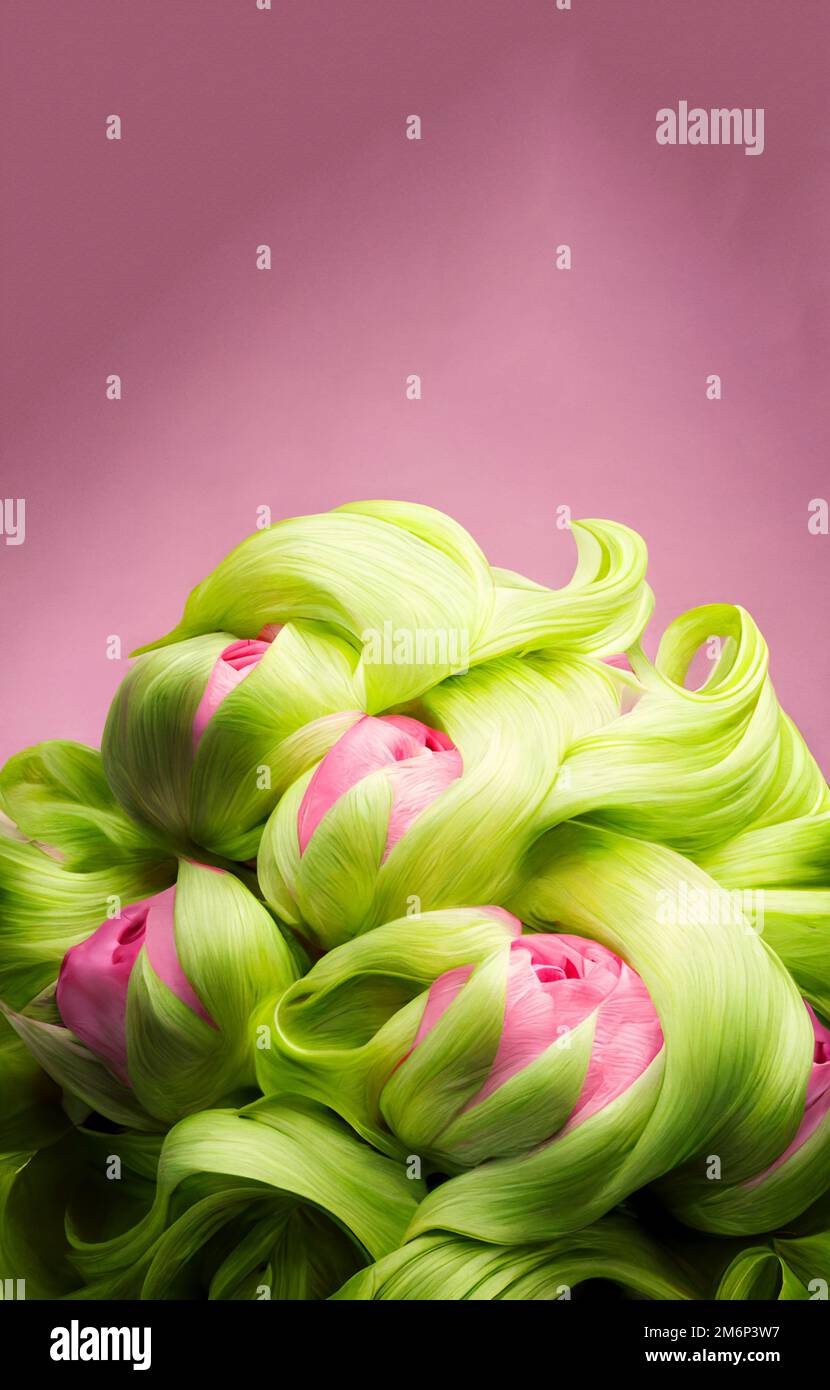 Complementary colors in nature hi-res stock photography and images - Alamy