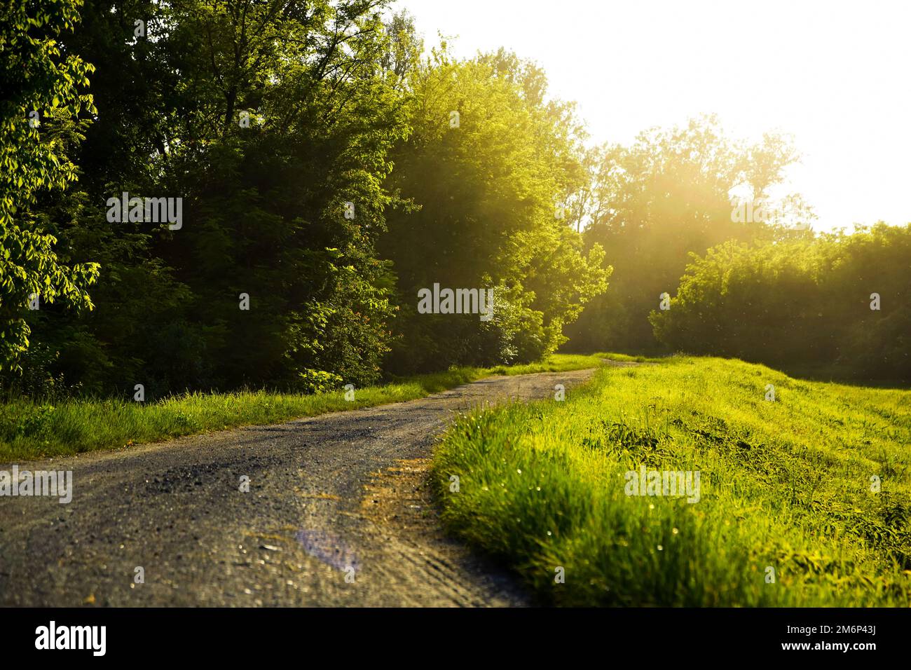 A sunny pathway Stock Photo - Alamy
