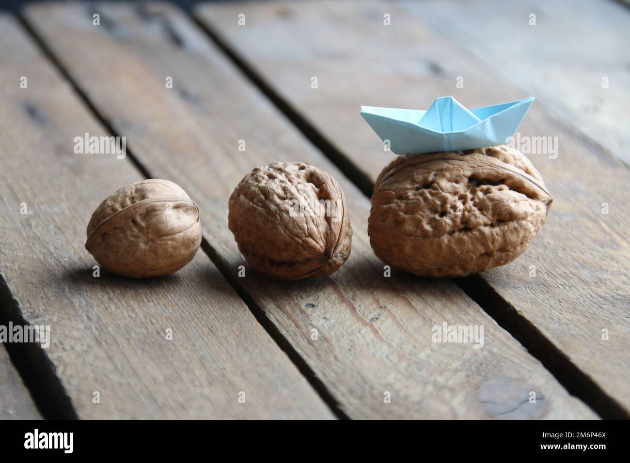 Leadership creative concept. Nuts and a paper boat Stock Photo - Alamy