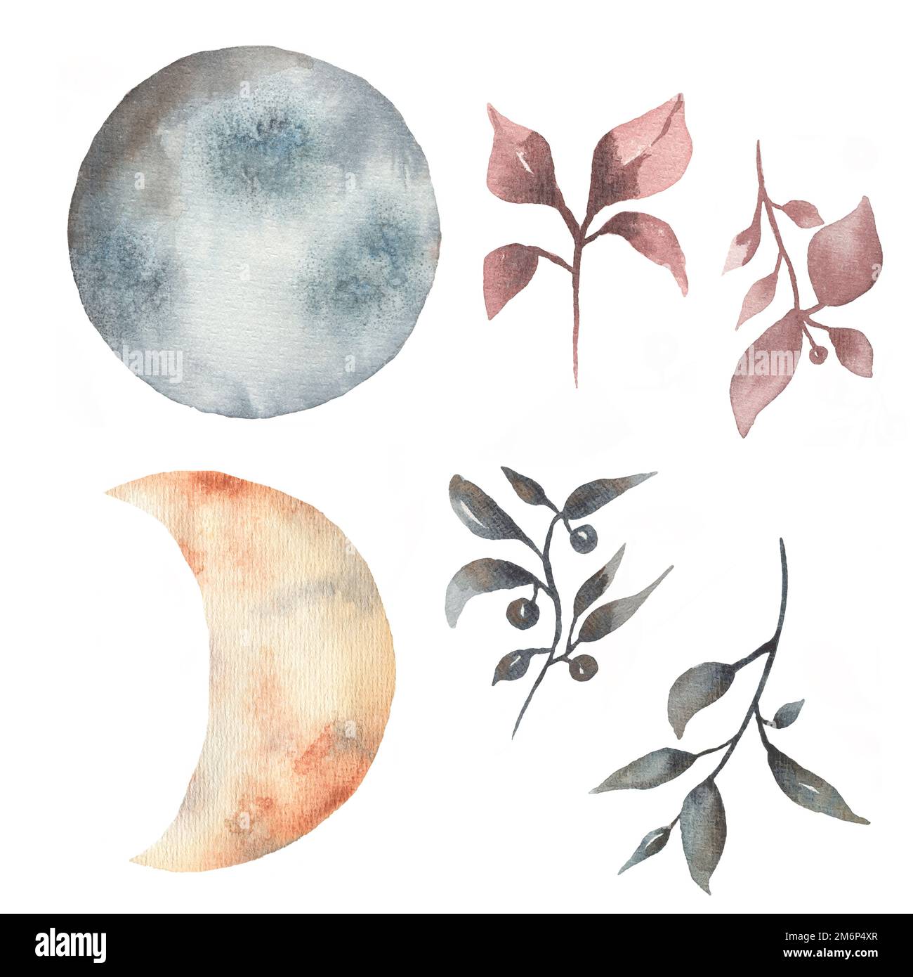 Watercolor beautiful moons and crescent set illustration with leaves ...