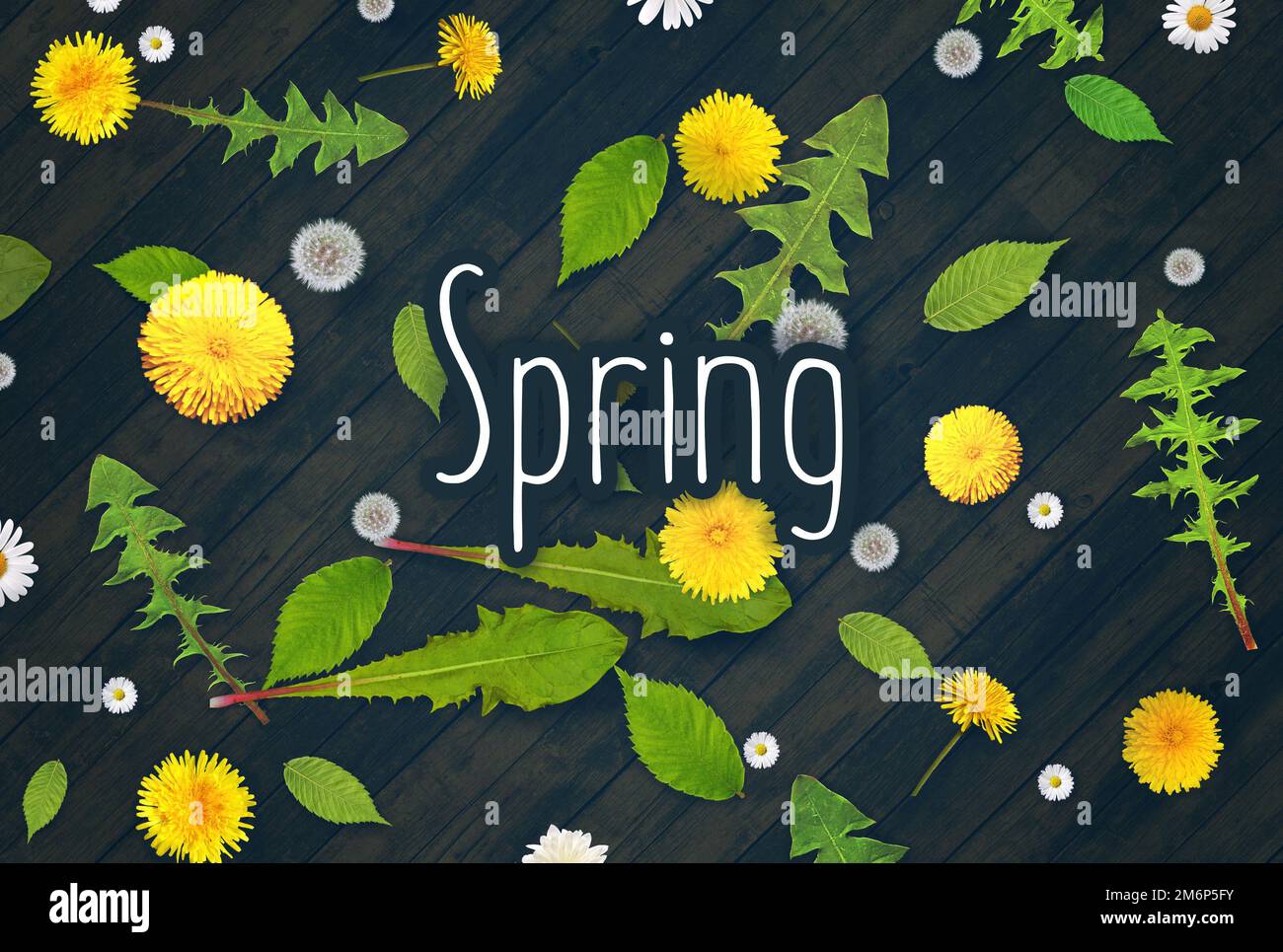 Spring flowers top view on wood table, dandelions on the table Stock ...