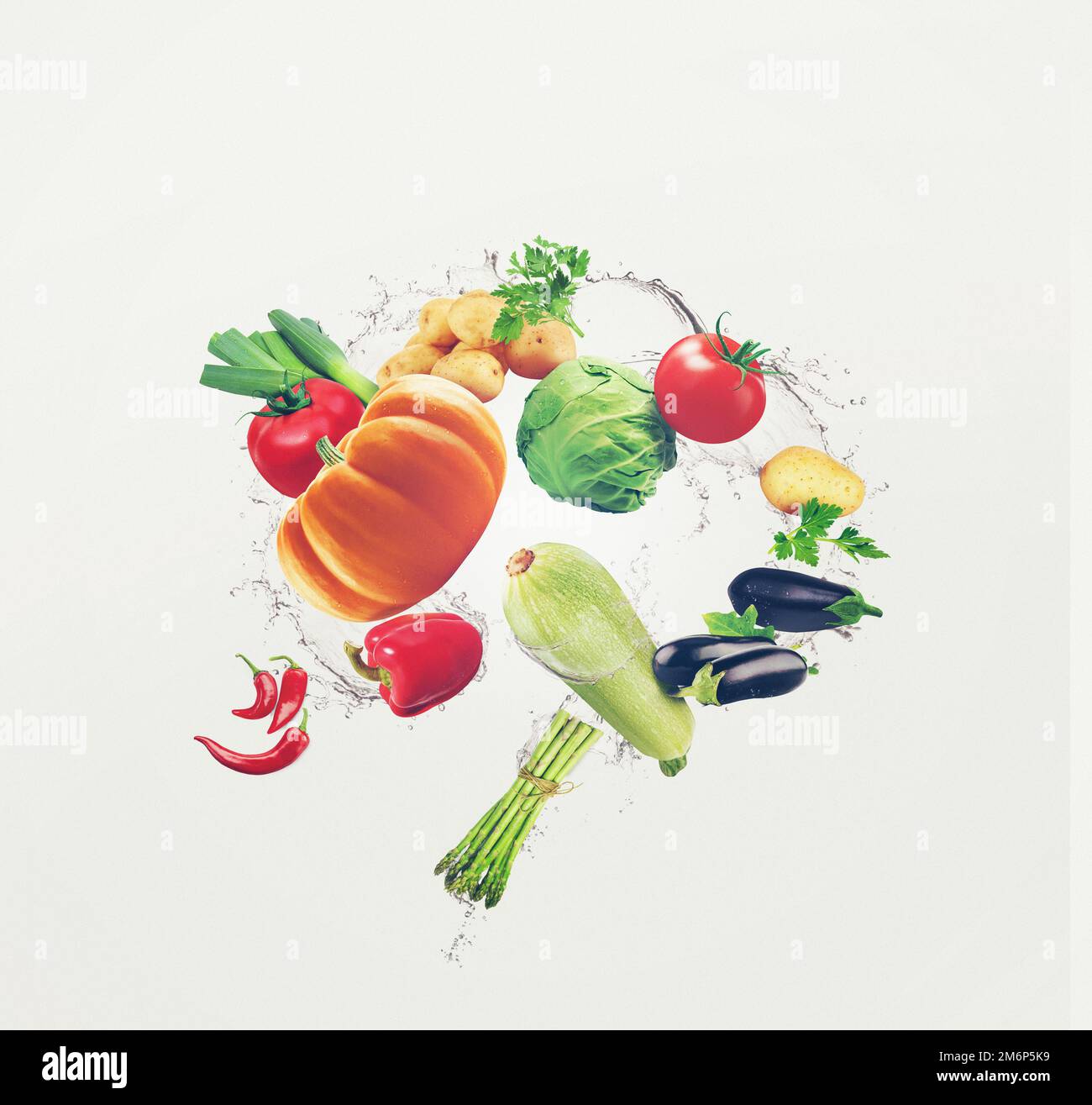 Flying organic food with water splash. Food illustration different ...