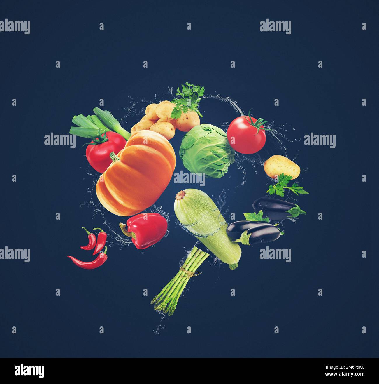 Flying organic food with water splash. Food illustration different ...