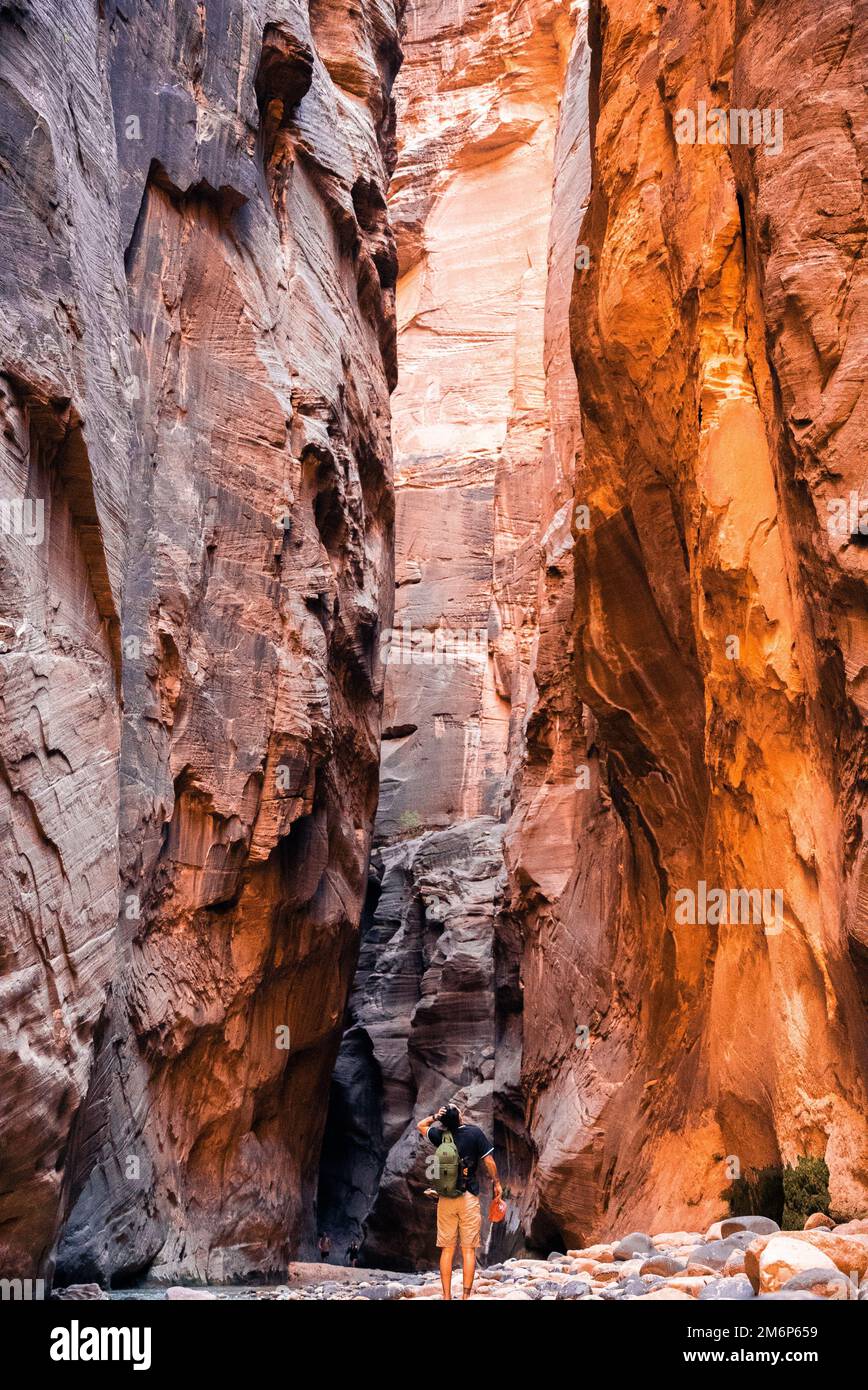 A vertical of a traveler sightseeing the rugged cliffs in The Narrows ...