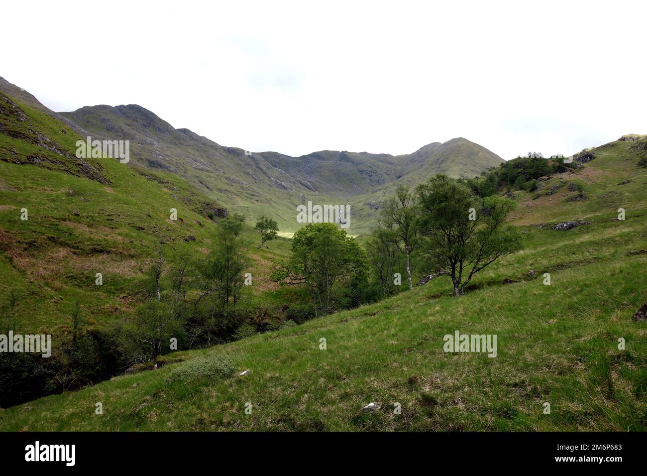 The Scottish Mountain Range Corbett 'Streap' in Gleann Dubh Lighe near ...