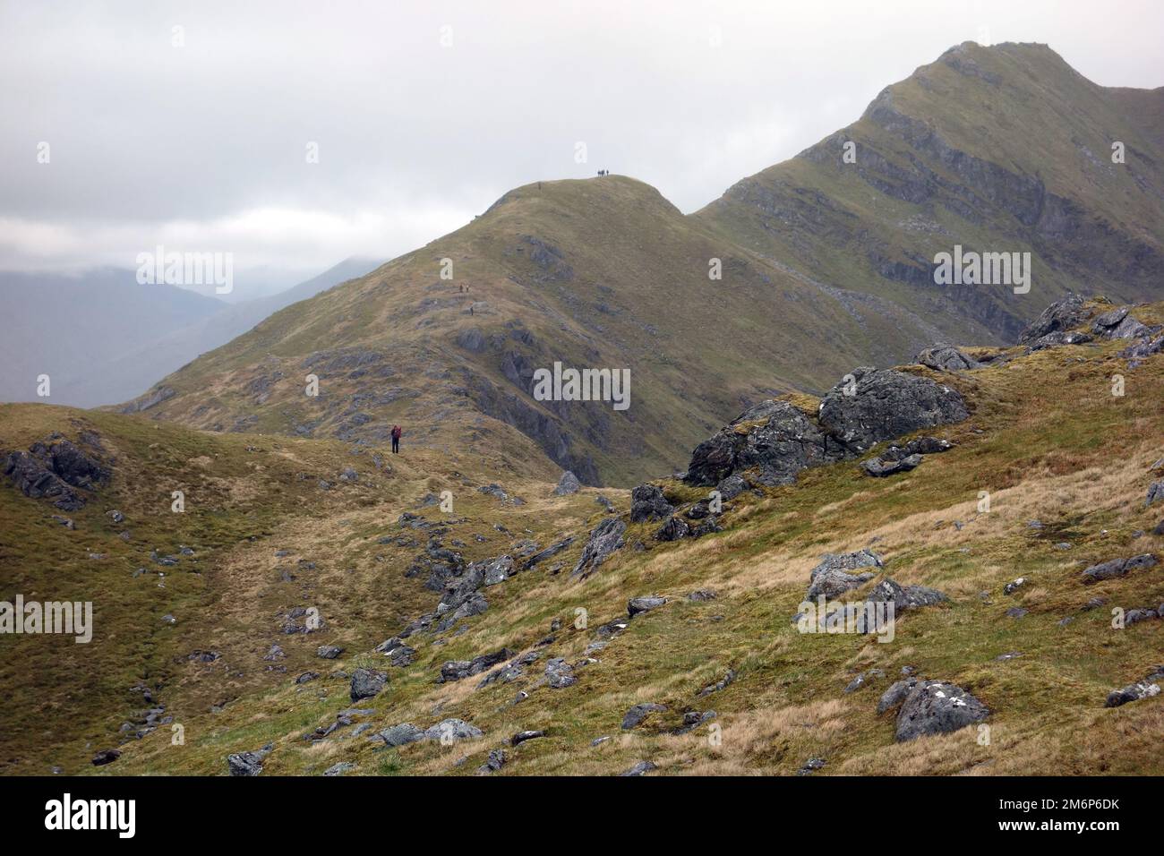 Cearc hi-res stock photography and images - Alamy