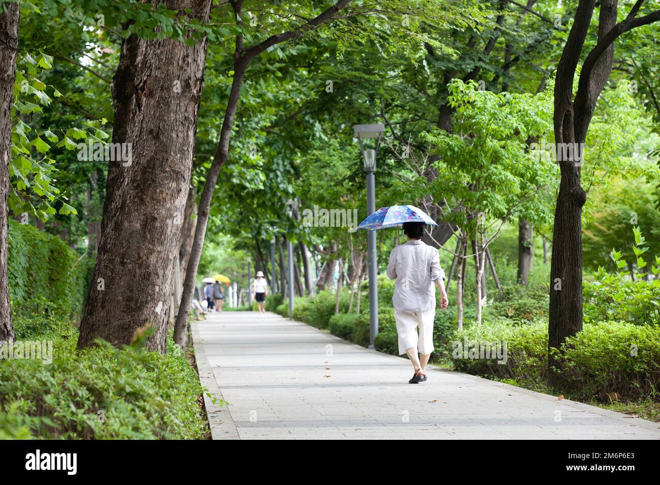 Walking with umbrella hi-res stock photography and images - Alamy