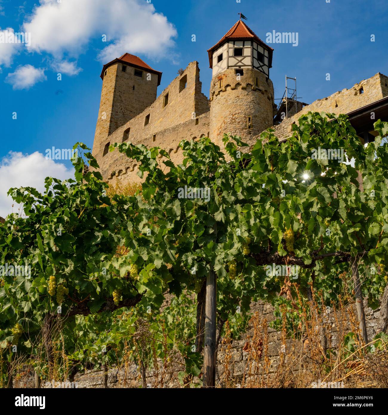 Most beautiful vineyards in Germany Stock Photo - Alamy