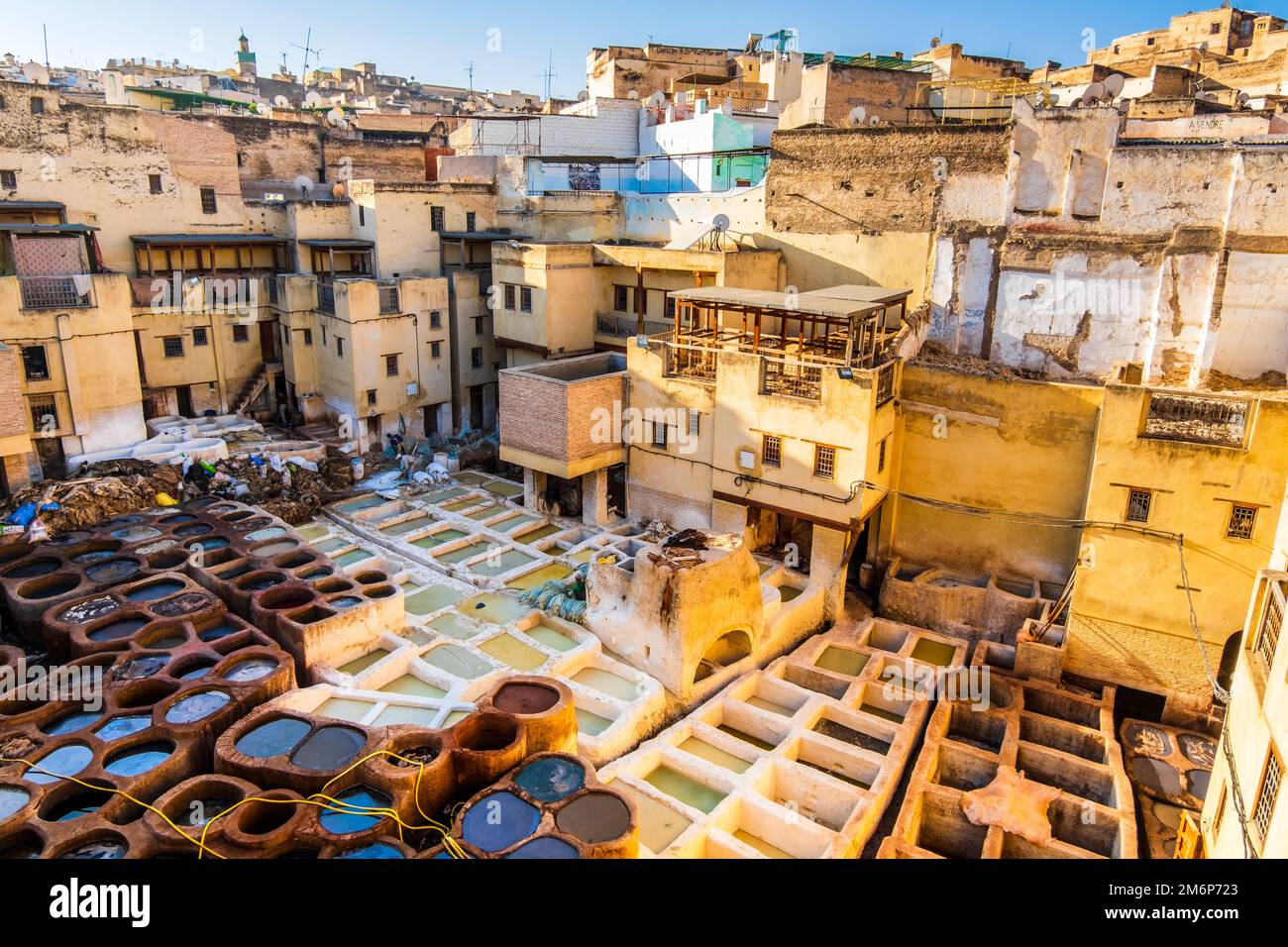 Famous tannery in sunny Fez, Morocco, North Africa Stock Photo - Alamy