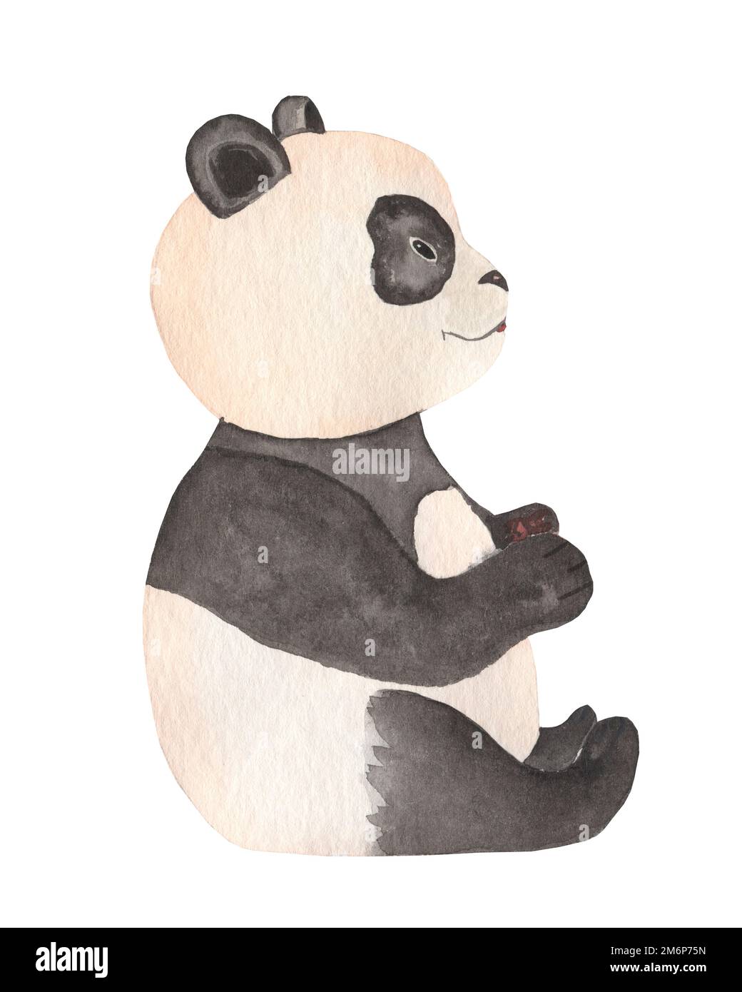 Cute Panda bear wild animal in cartoon style. Isolated on white ...