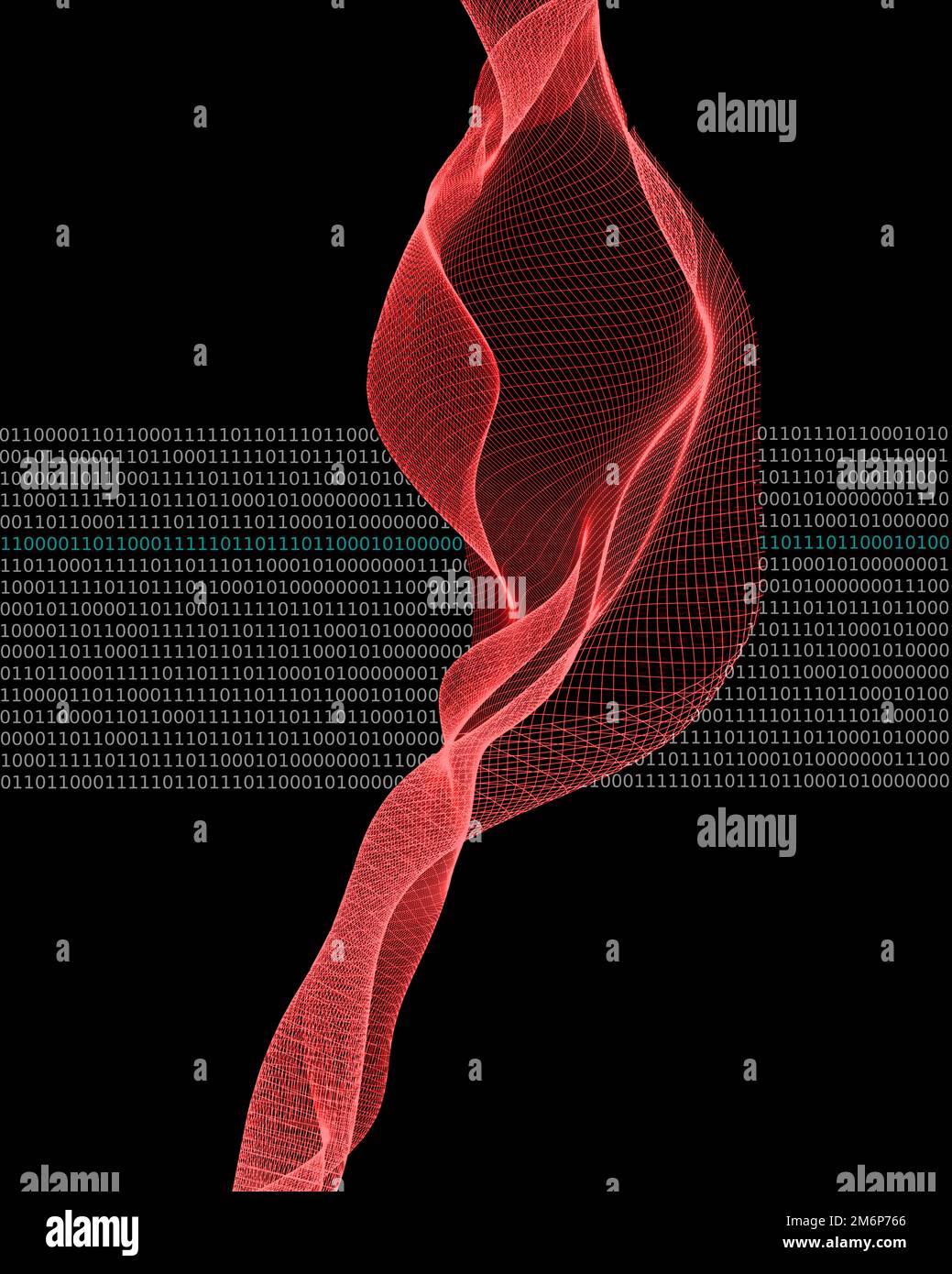 COMPUTING CONCEPT: Catching the Code Stock Photo - Alamy