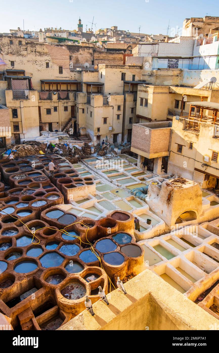 Famous tannery in sunny Fez, Morocco, North Africa Stock Photo - Alamy