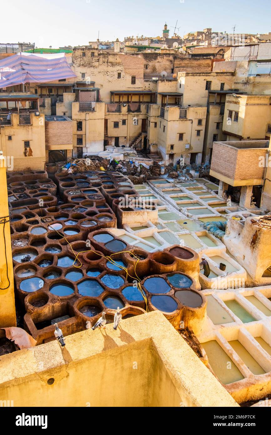 Old tannery industry hi-res stock photography and images - Alamy