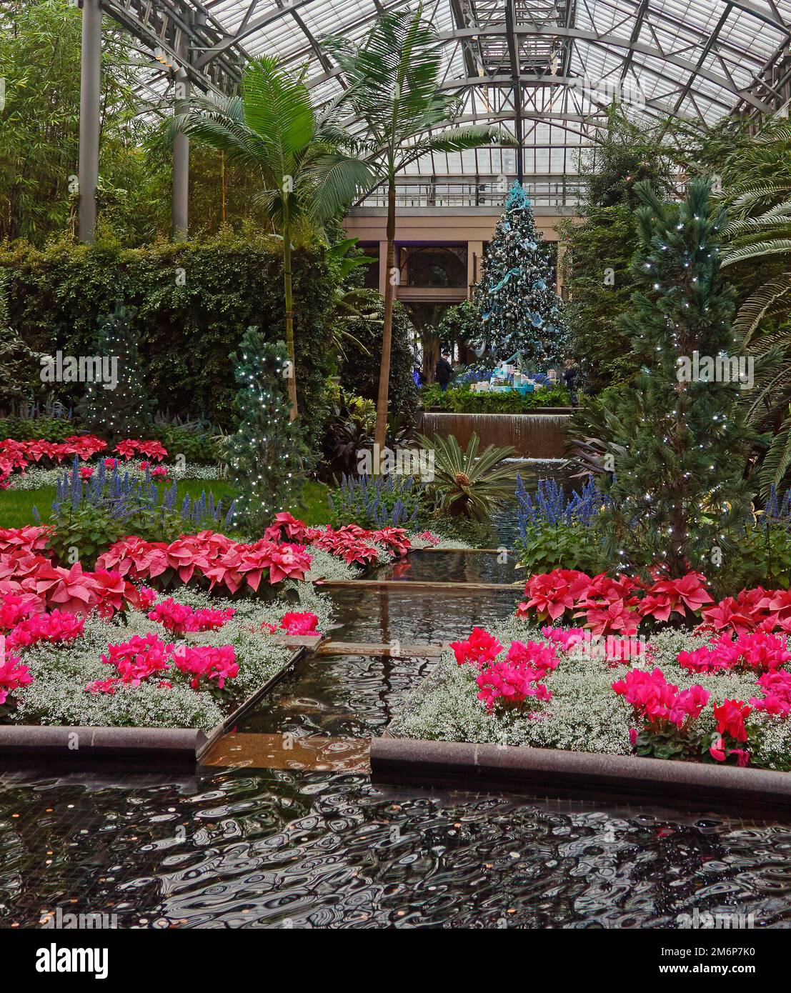 Winter gardens conservatory hi-res stock photography and images - Alamy