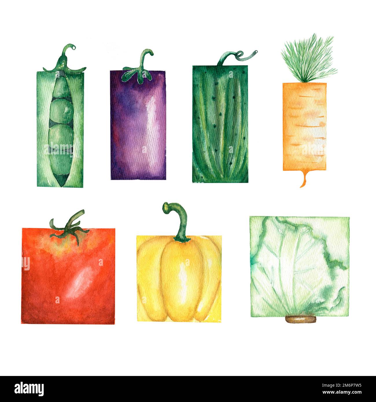 Watercolor garden vegetables set. Hand drawn illustrations: tomato,egg ...