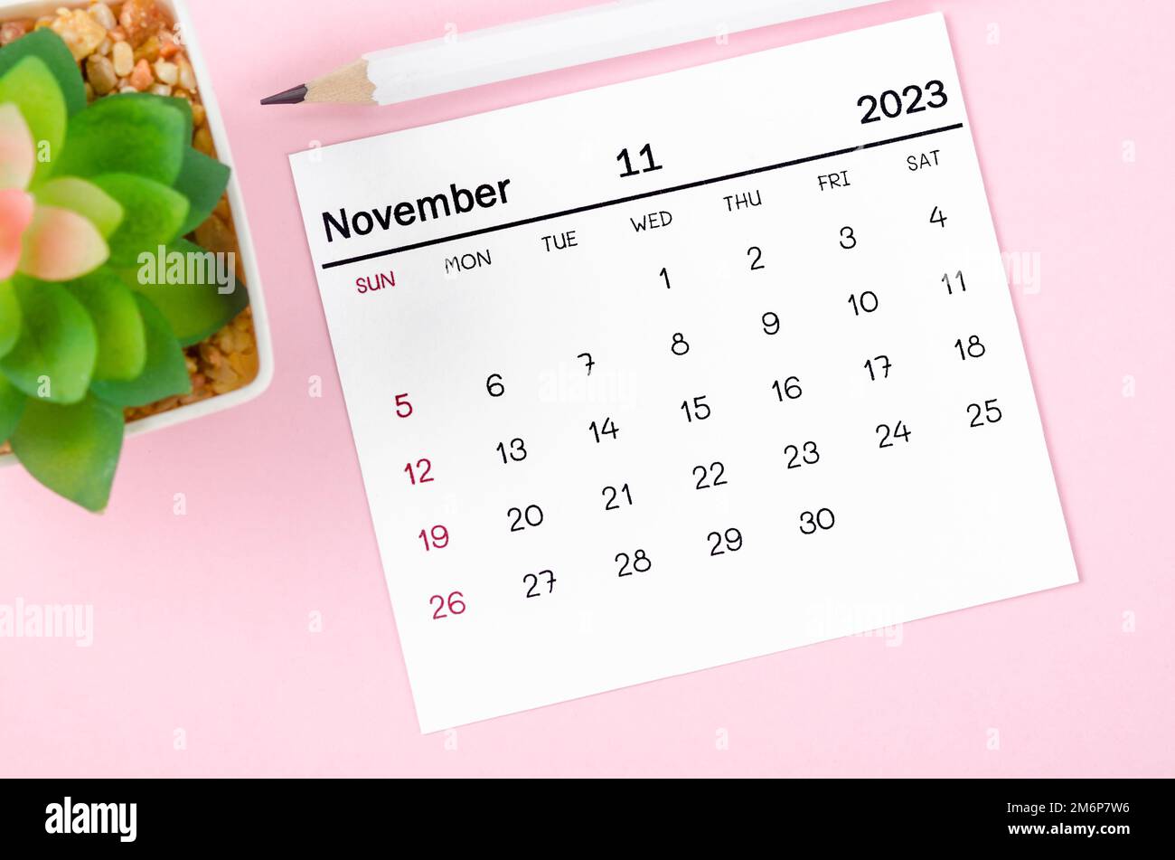 November 2023 Monthly calendar for 2023 year on pink background Stock ...