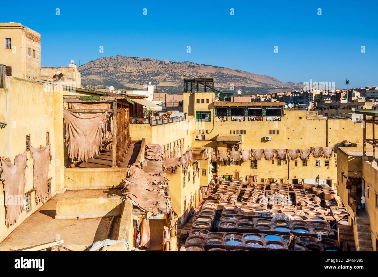 Famous skin tannery in Fes, Morocco, North Africa Stock Photo - Alamy